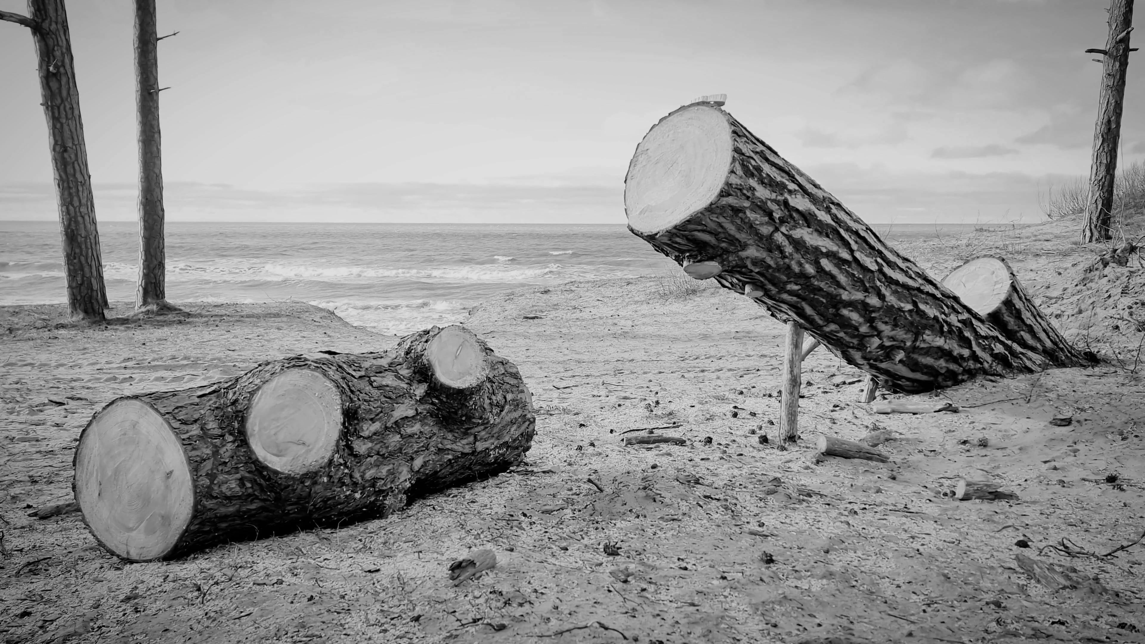 Deforestation Video Videos, Download The BEST Free 4k Stock Video ...