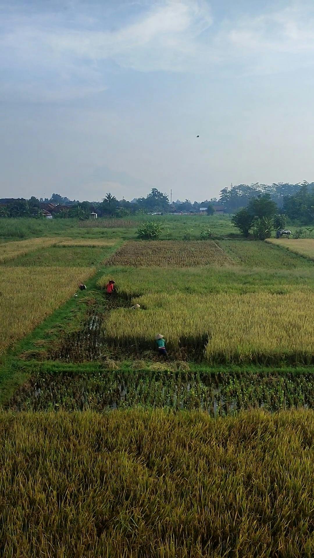 People Working on Rural Field Free Stock Video Footage, Royalty-Free 4K ...