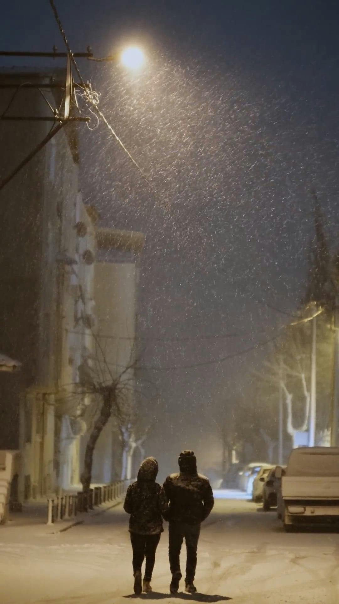 Snow Falling Free Stock Video Footage, Royalty-Free 4K & HD Video Clip