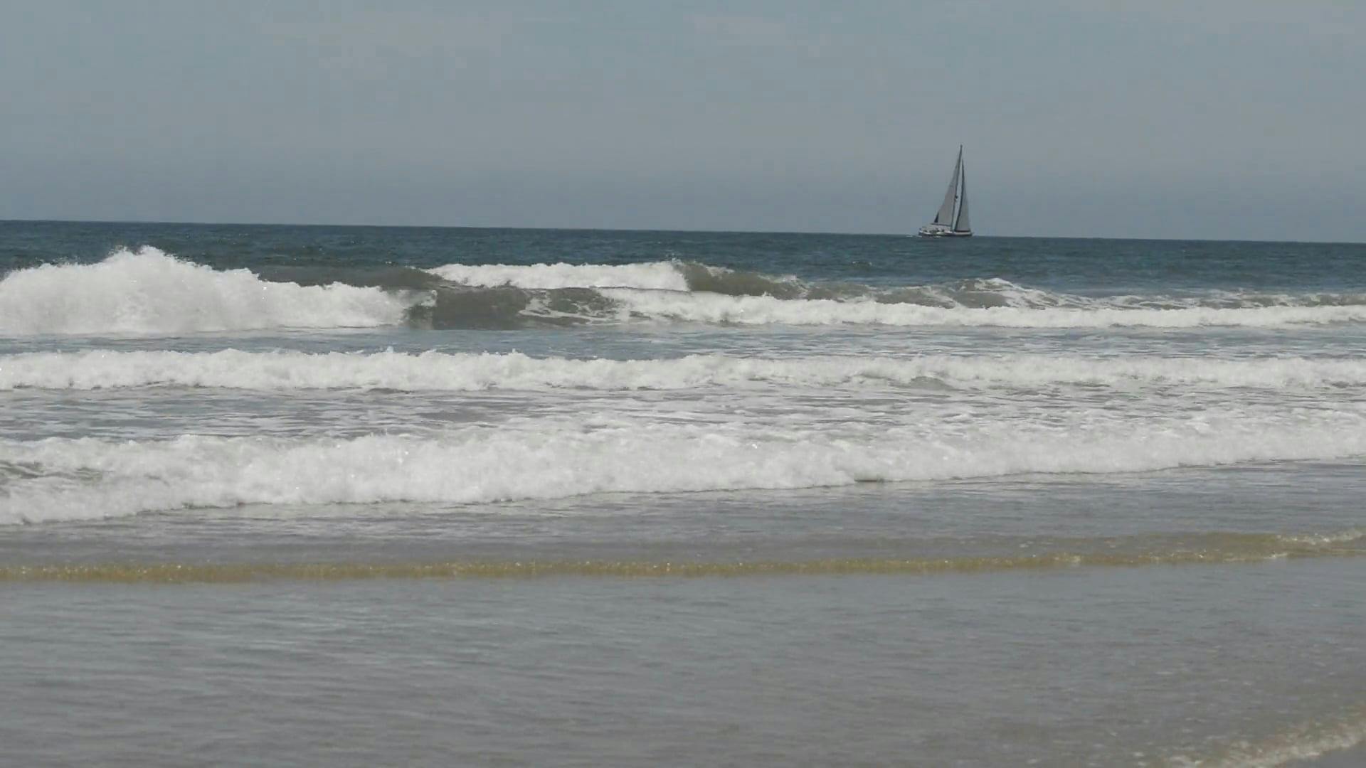 Video Of A Beach Free Stock Video Footage, Royalty-Free 4K & HD Video Clip