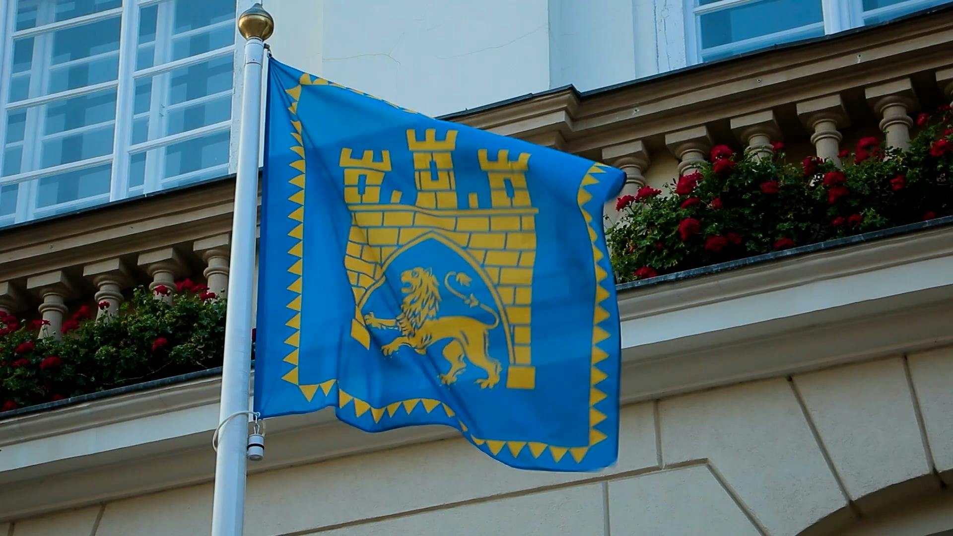Flag of Lviv Waving in the Breeze Free Stock Video Footage, Royalty ...