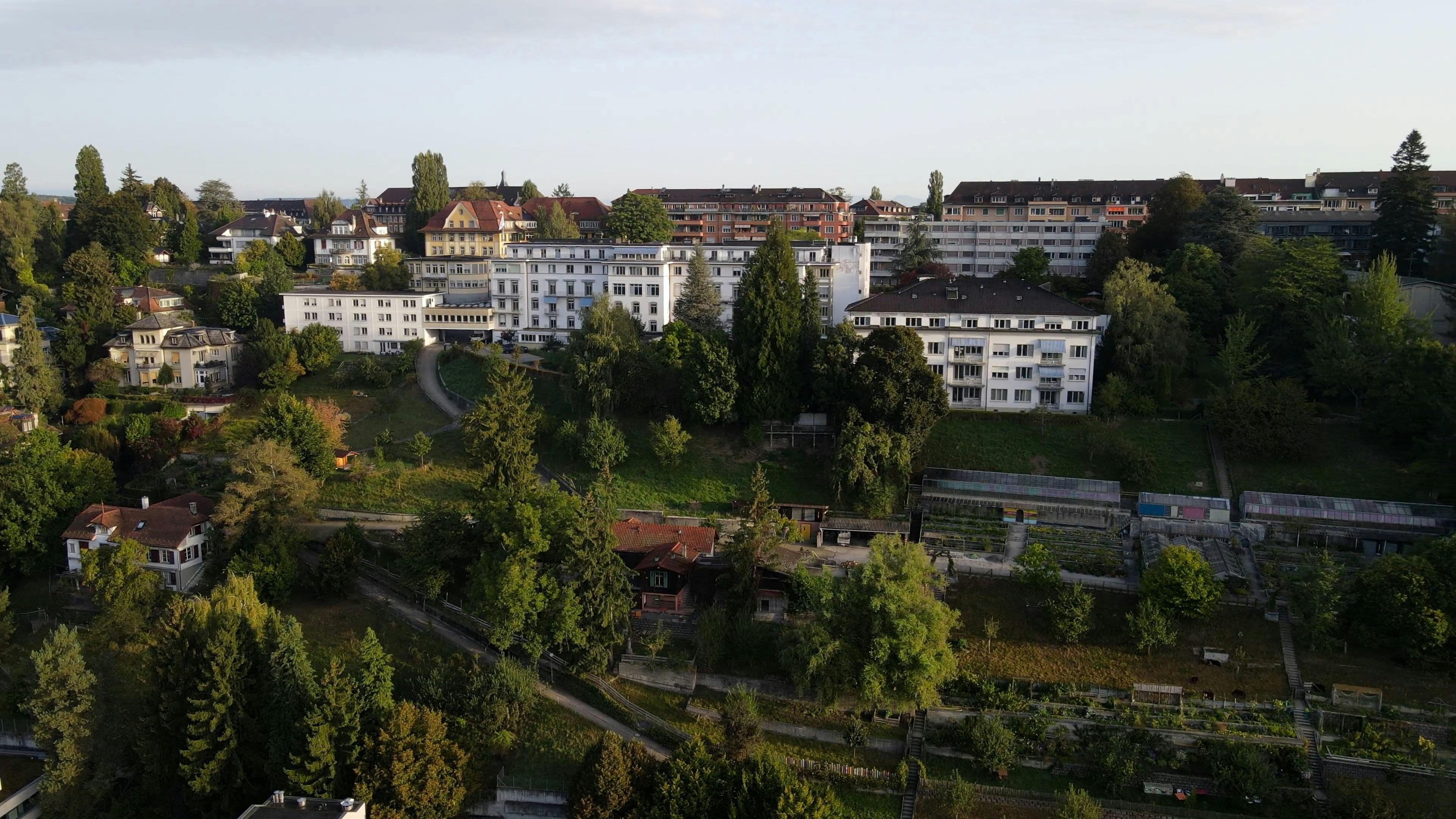Birds Eye View on Buildings among Trees in Town Free Stock Video ...