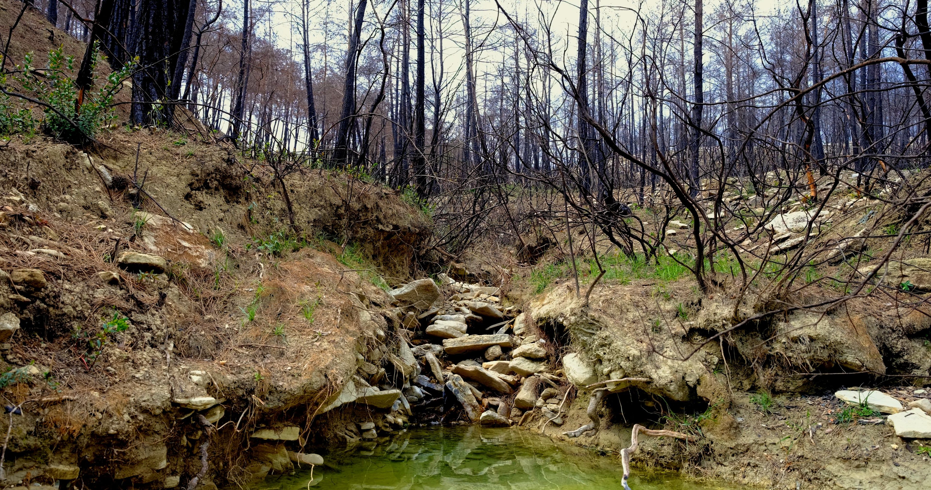 Water Dropping From the Rocks Free Stock Video Footage, Royalty-Free 4K ...