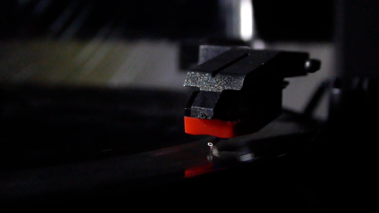 Neil Hedley - 사진