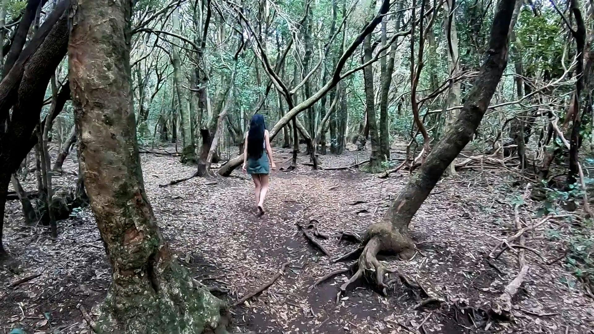 Video stok gratis tentang alam, alam liar, alami, anak muda, berjalan ...