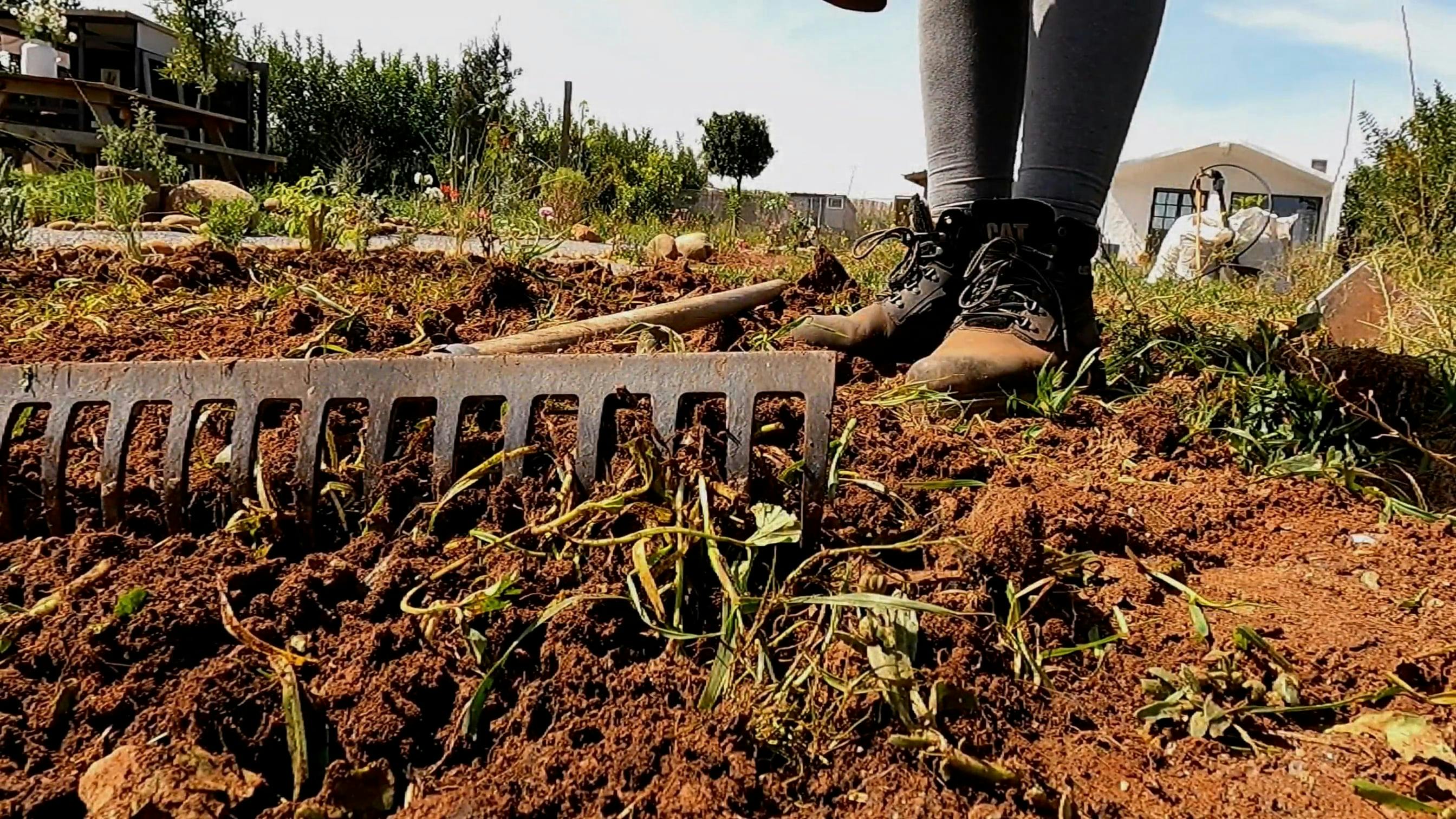 Farming with Rake Free Stock Video Footage, Royalty-Free 4K & HD Video Clip