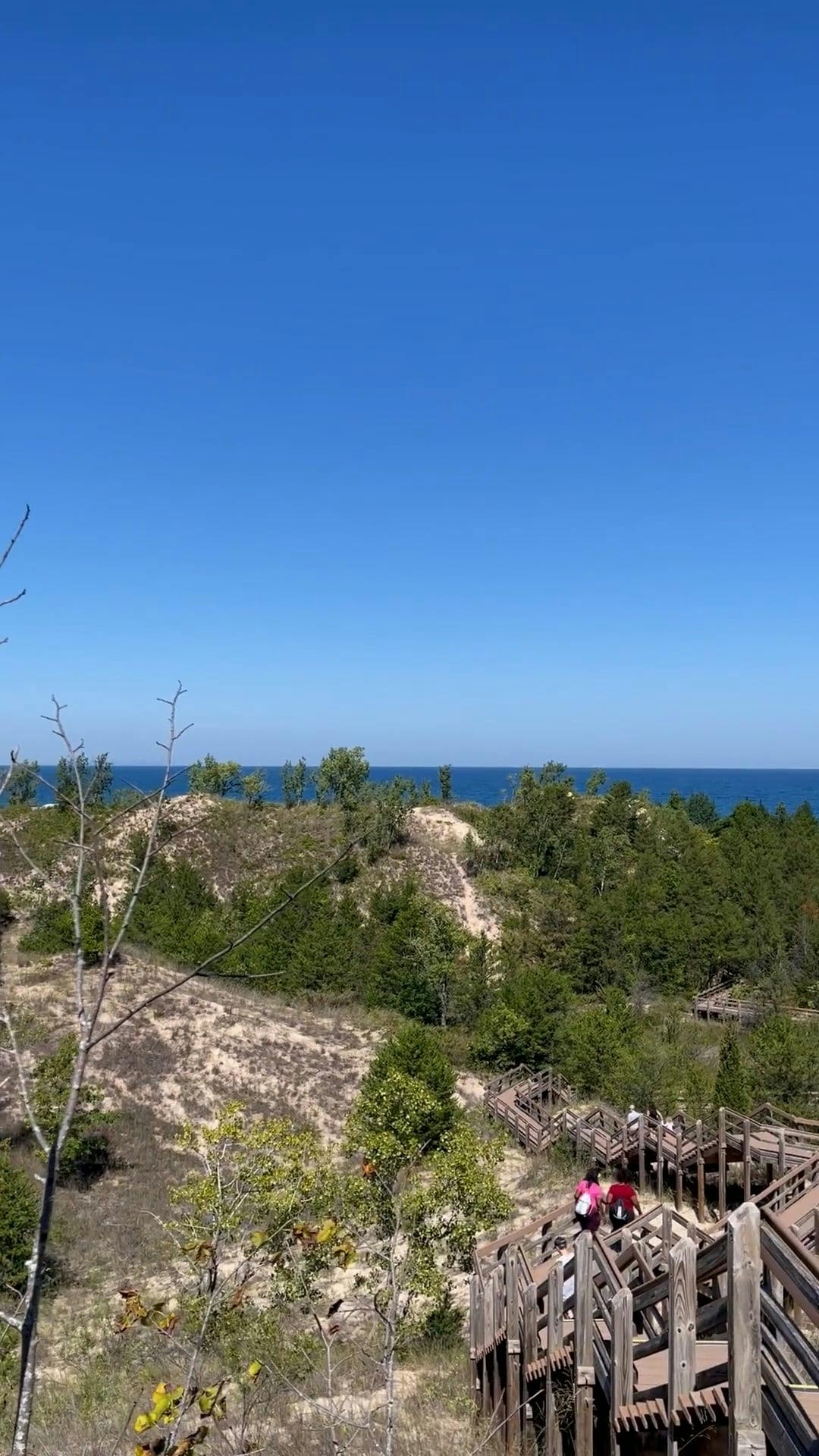 Forest and Lake · Free Stock Video