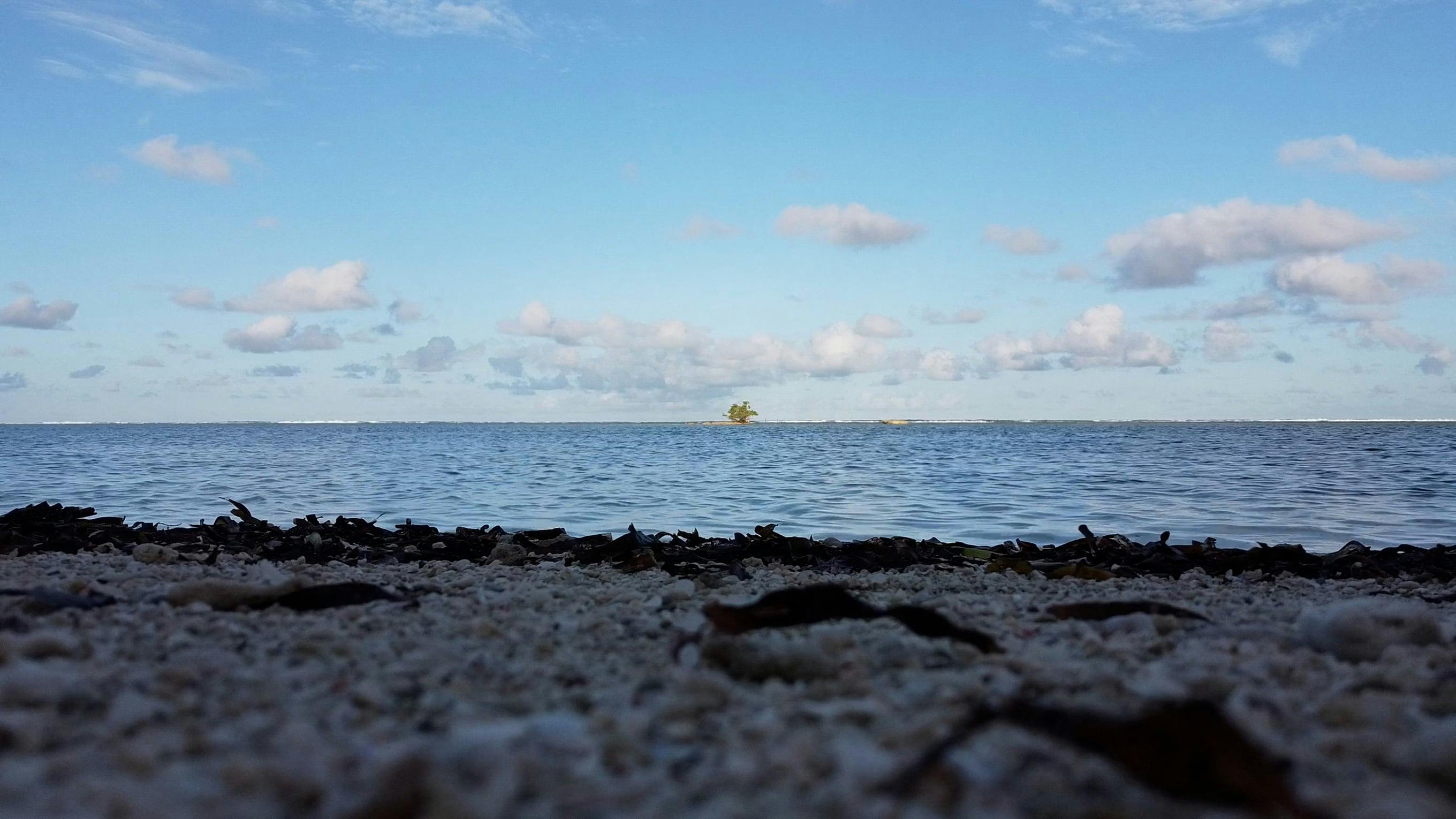 A Man Performing the Boduberu Traditional Dance in the Maldives Free ...
