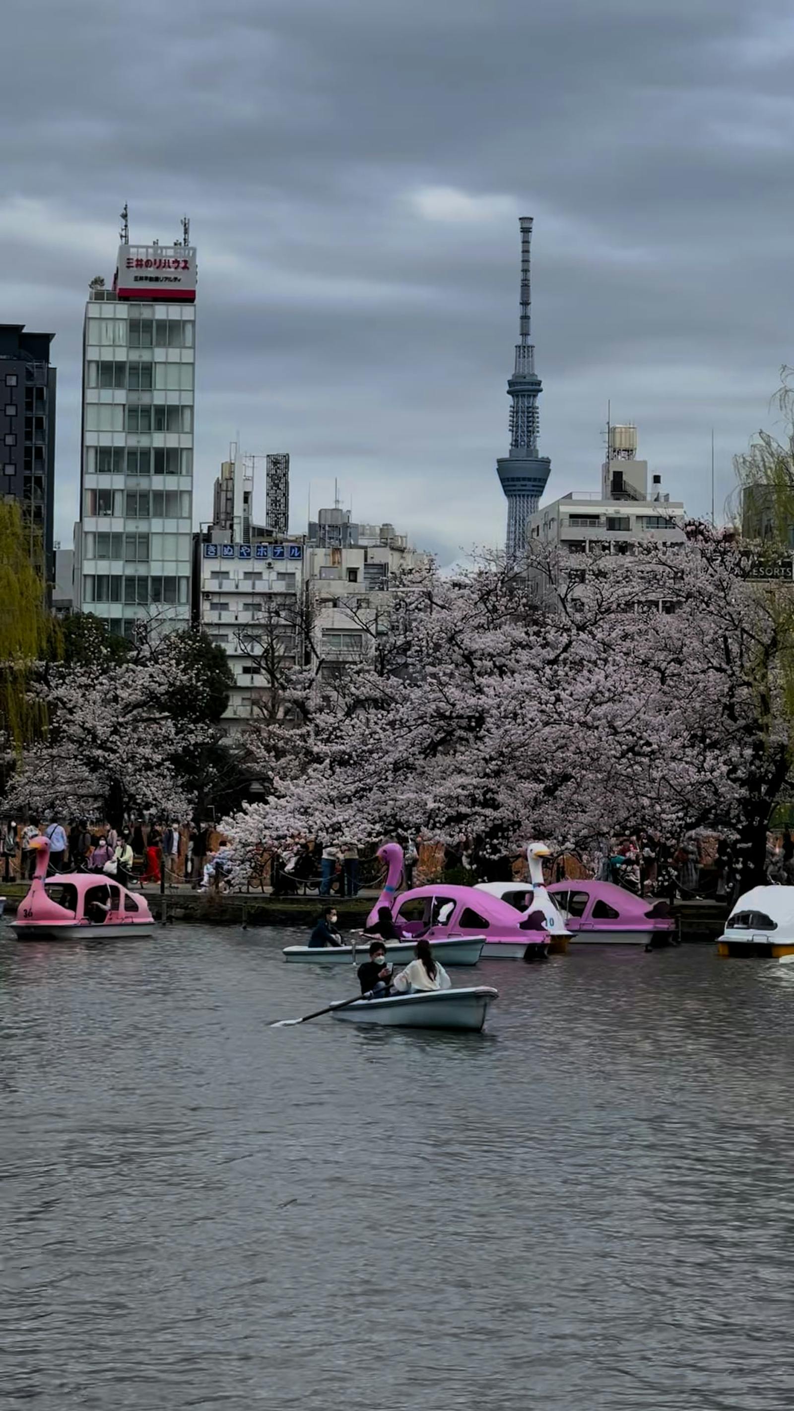 Japan Boat Videos, Download The BEST Free 4k Stock Video Footage ...