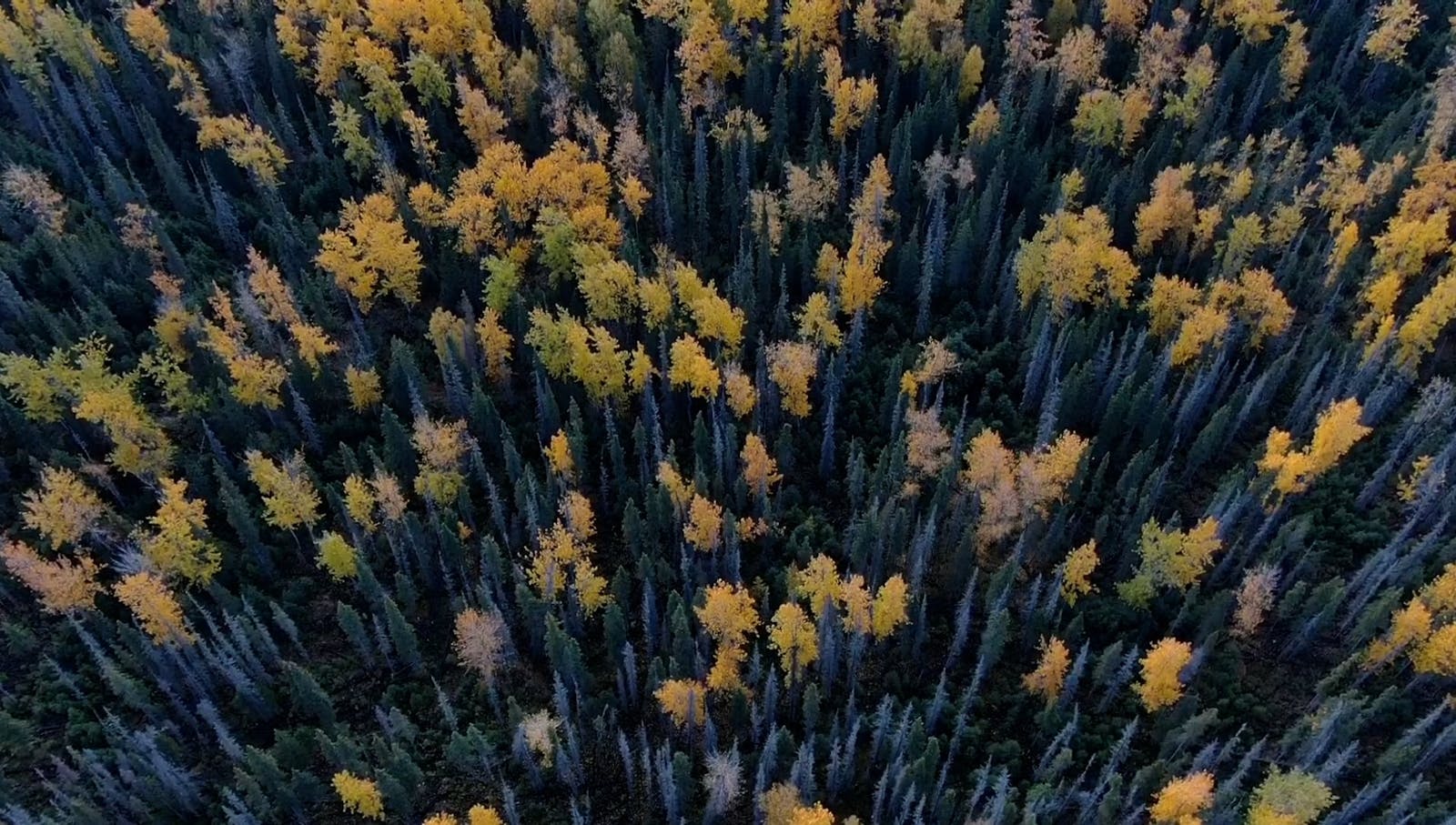 Alaska Videos, Download The BEST Free 4k Stock Video Footage & Alaska ...