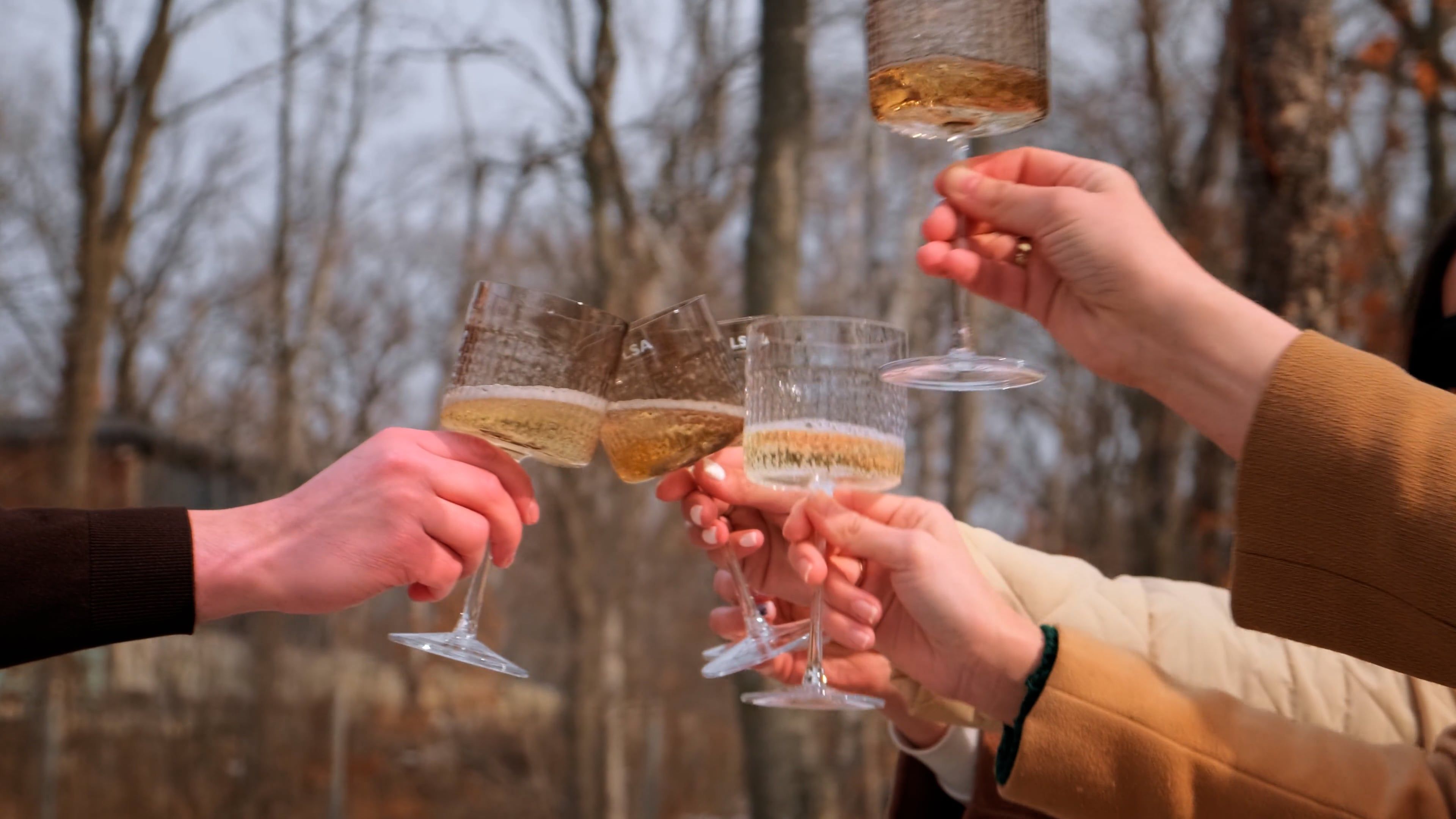 Toast in Forest Free Stock Video Footage, Royalty-Free 4K & HD Video Clip