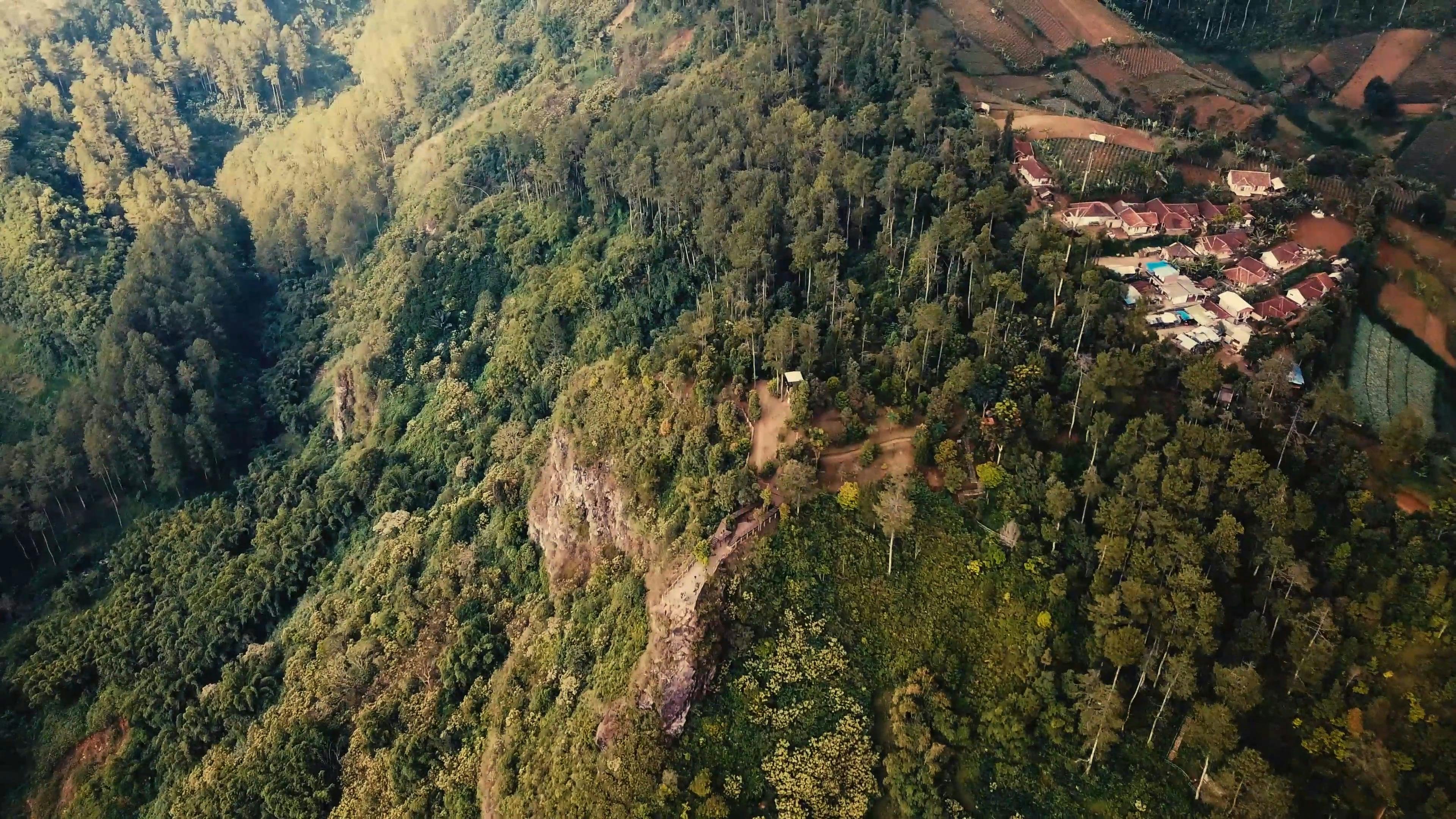 Aerial Shot Of Forest · Free Stock Video