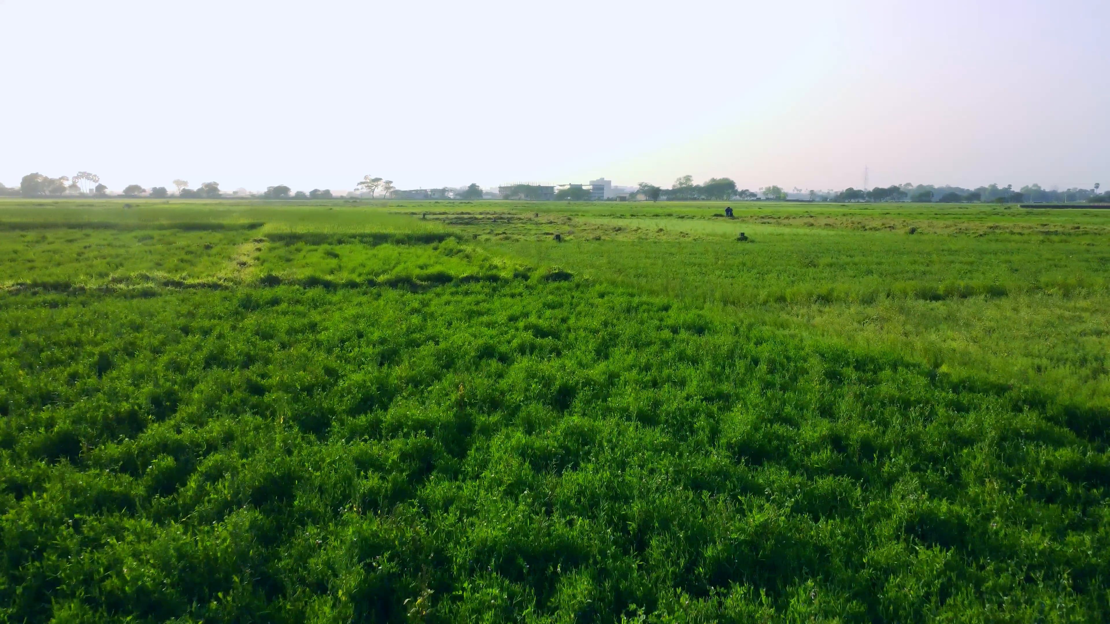 Rural Fields on Plains Free Stock Video Footage, Royalty-Free 4K & HD ...