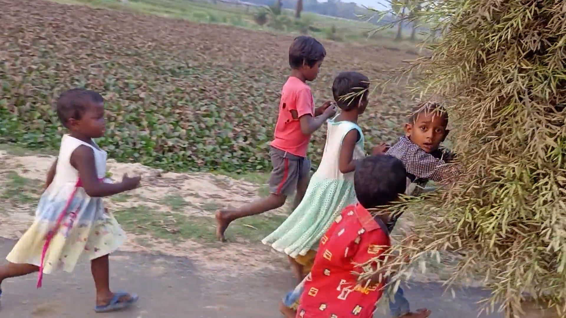 Kids and Cart with Straw · Free Stock Video