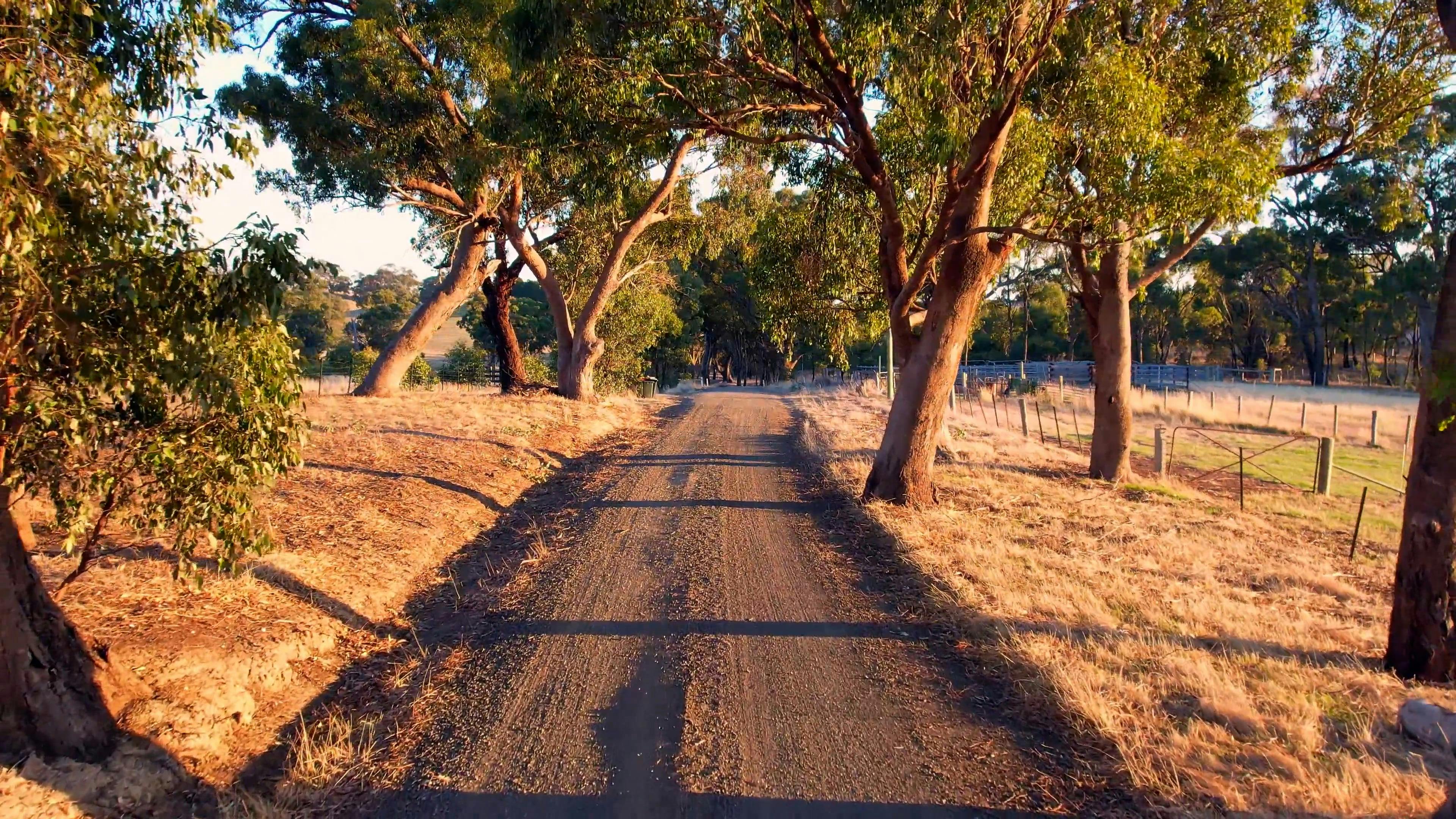 Australia Pathway Videos, Download The BEST Free 4k Stock Video Footage ...