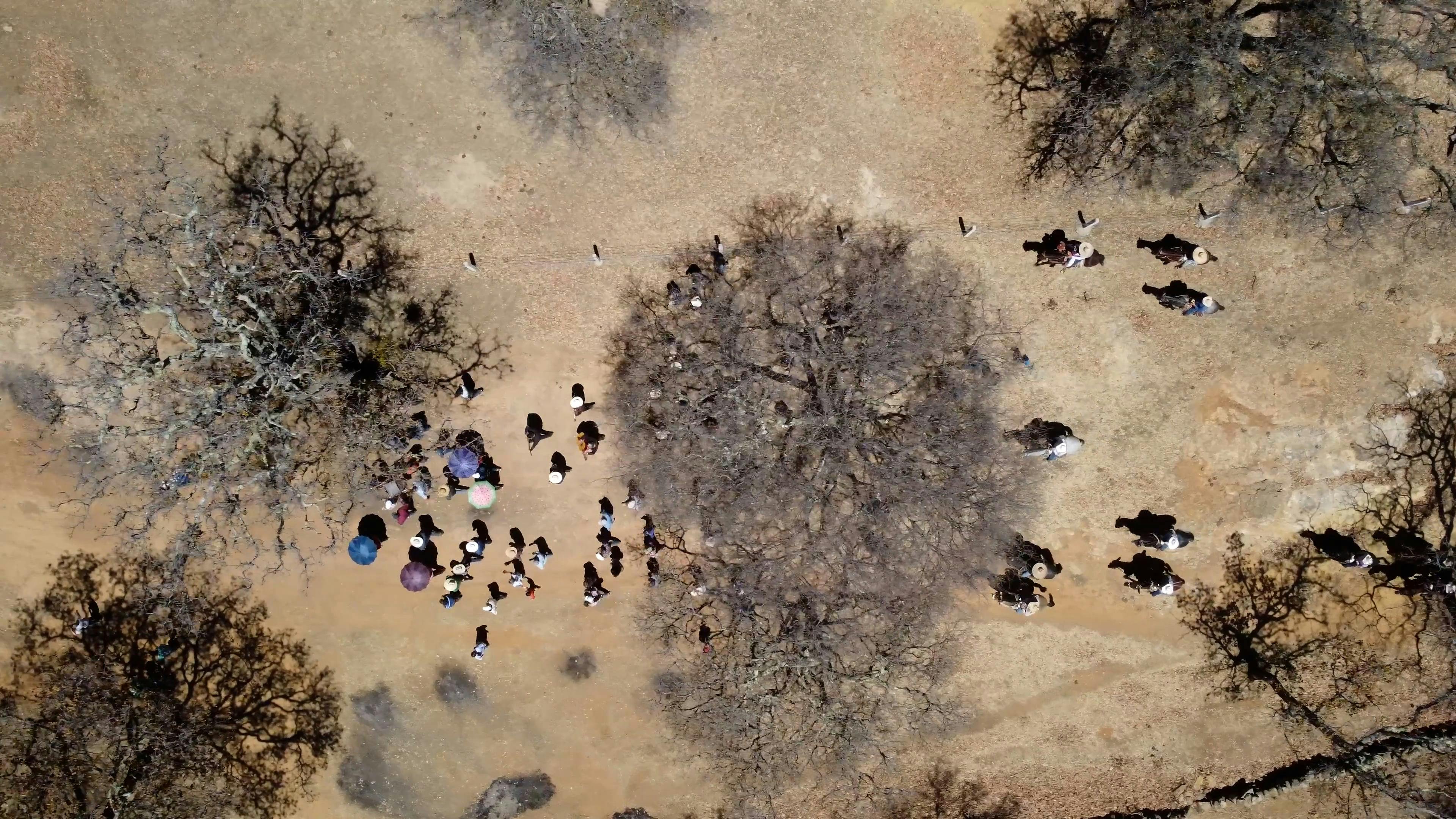 People Walking during Peregrination Free Stock Video Footage, Royalty ...