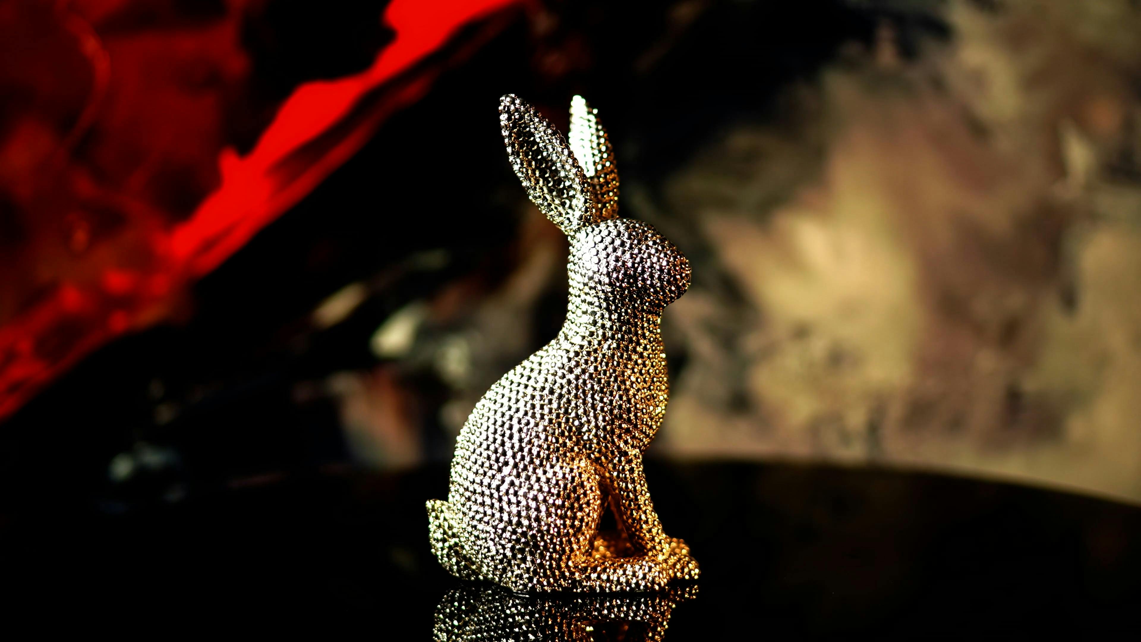 Hare Still Videos, Download The BEST Free 4k Stock Video Footage & Hare ...