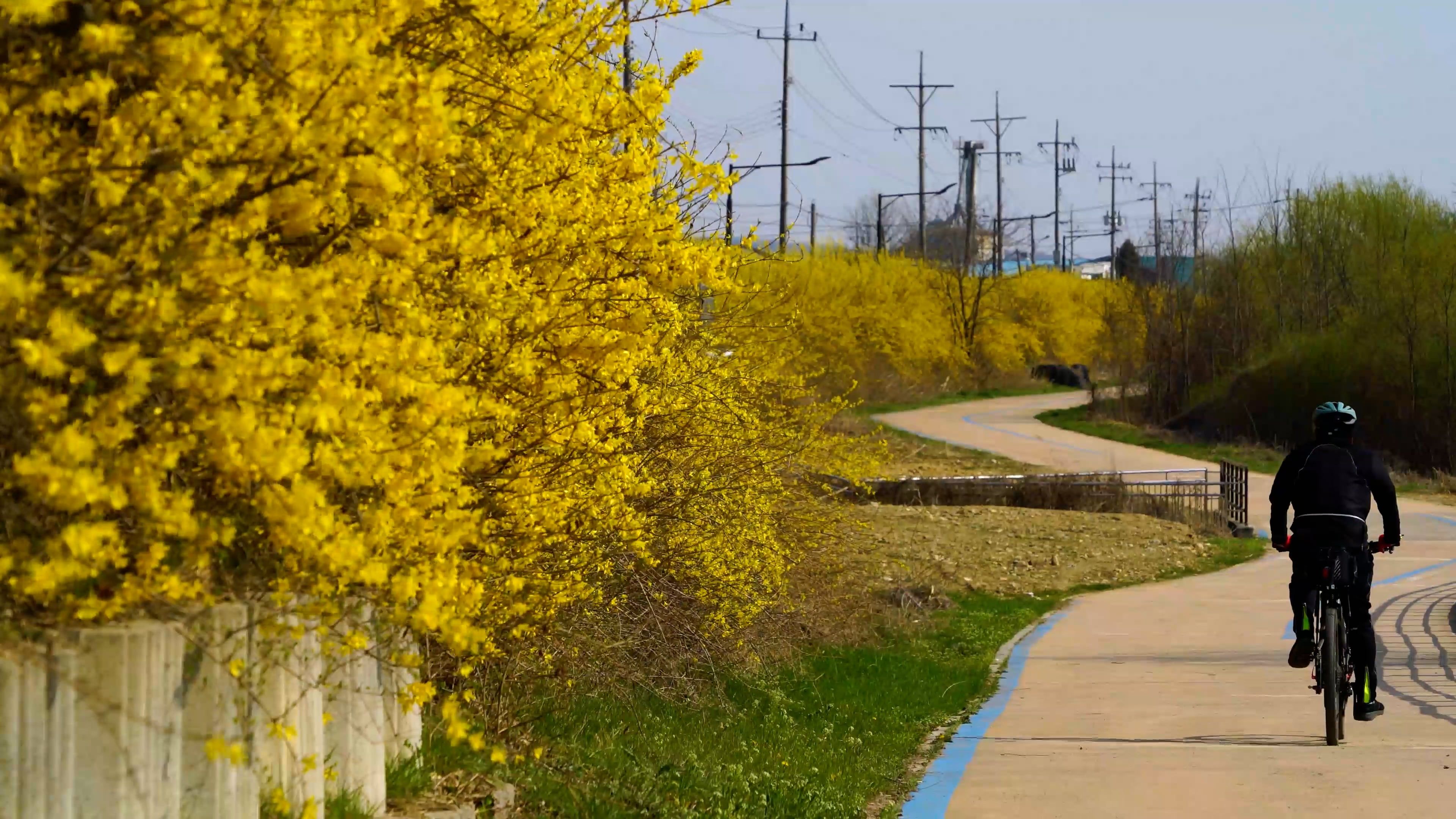 Bicycle Path and Electric Poles Free Stock Video Footage, Royalty-Free ...