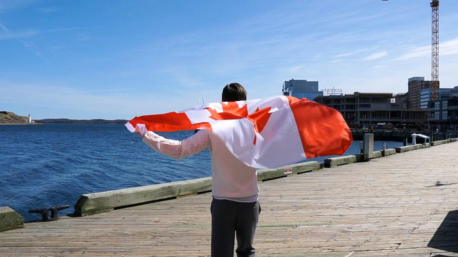Video Of Canada's Flag On A Windy Day Free Stock Video Footage, Royalty ...
