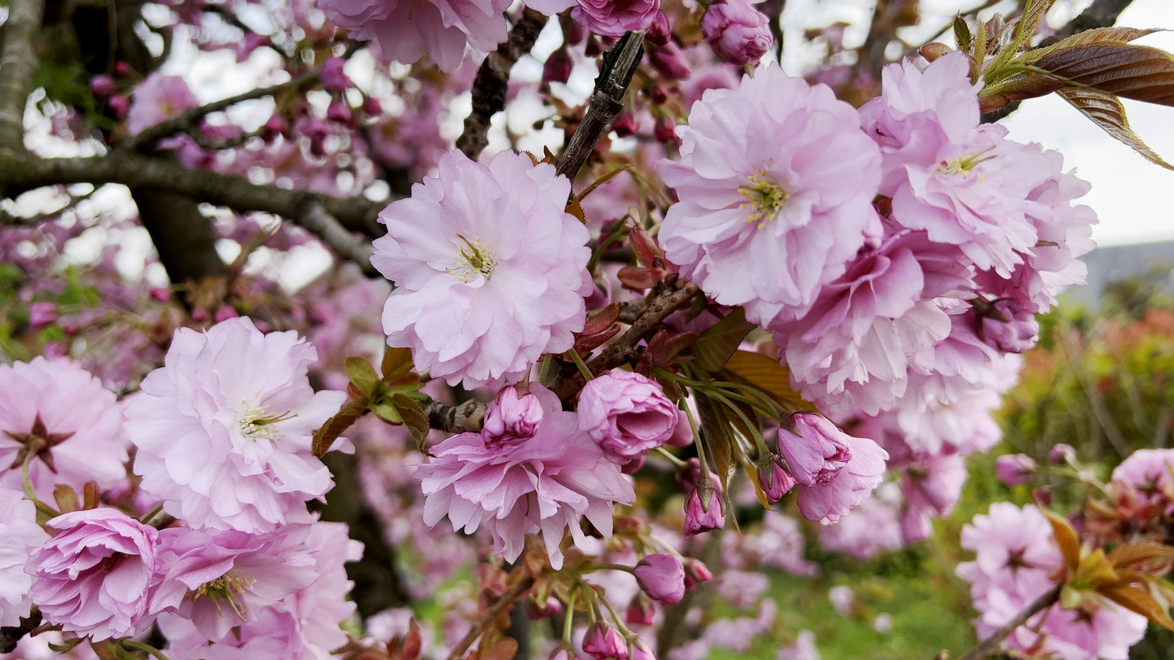 Sandro Müller - Fotografía