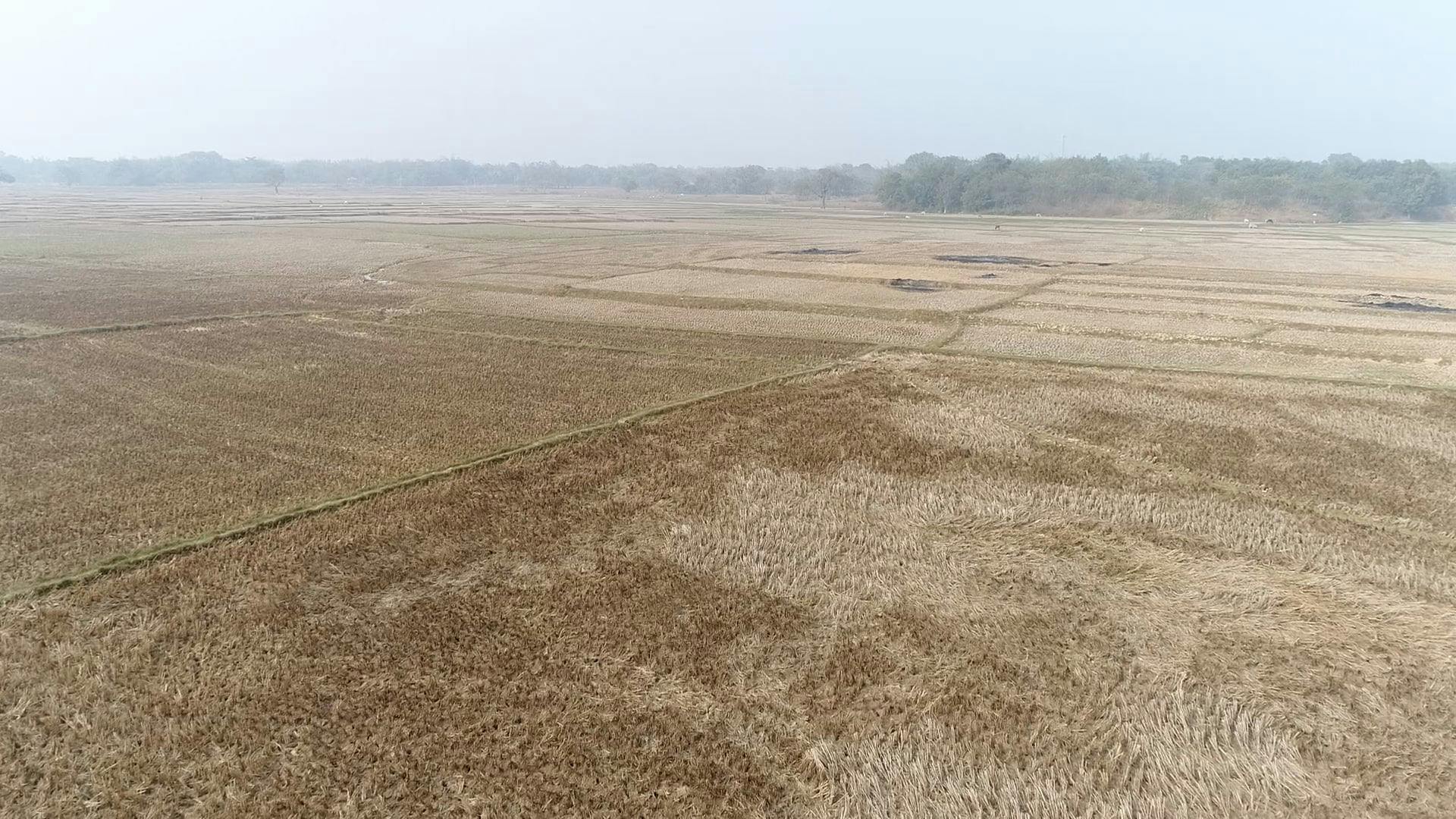 Open Land Plots Videos, Download The BEST Free 4k Stock Video Footage ...