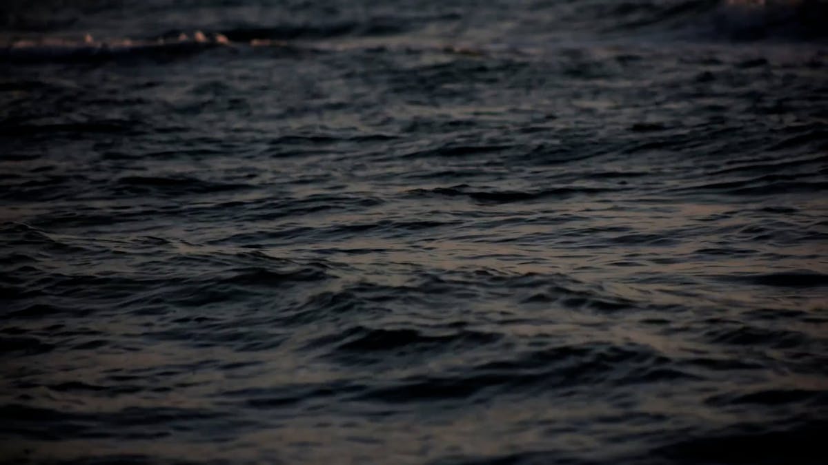 5+ Best Free Vignette 4K Stock Video Footage & Royalty-Free HD Video Clips