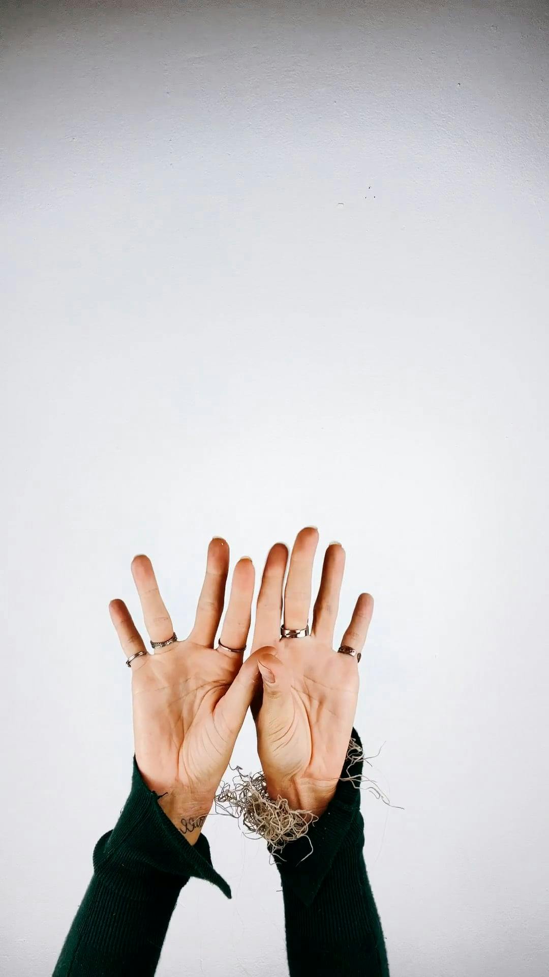 Hands Moving on White Background Free Stock Video Footage, Royalty-Free ...