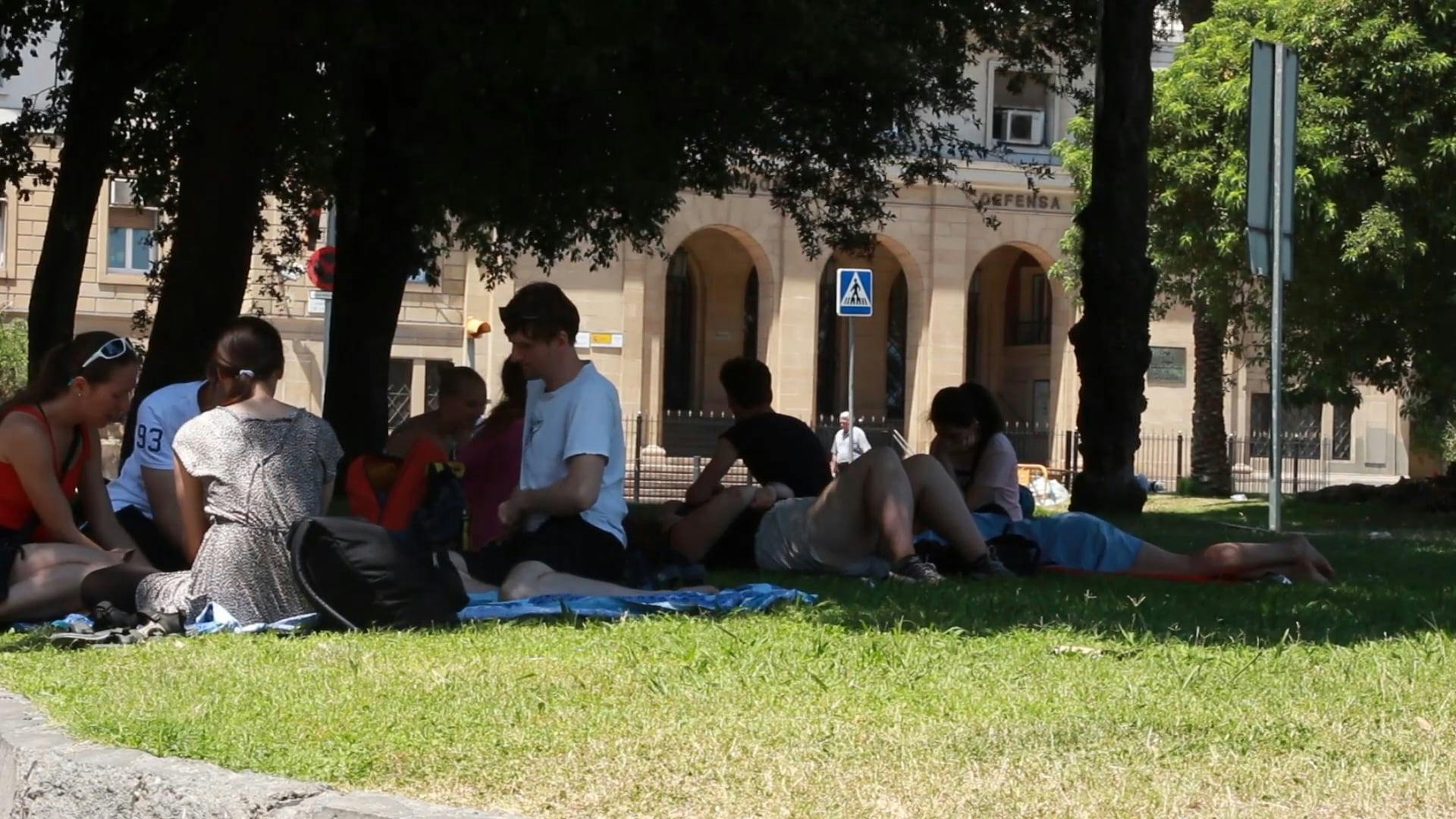 People Under A Tree · Free Stock Video