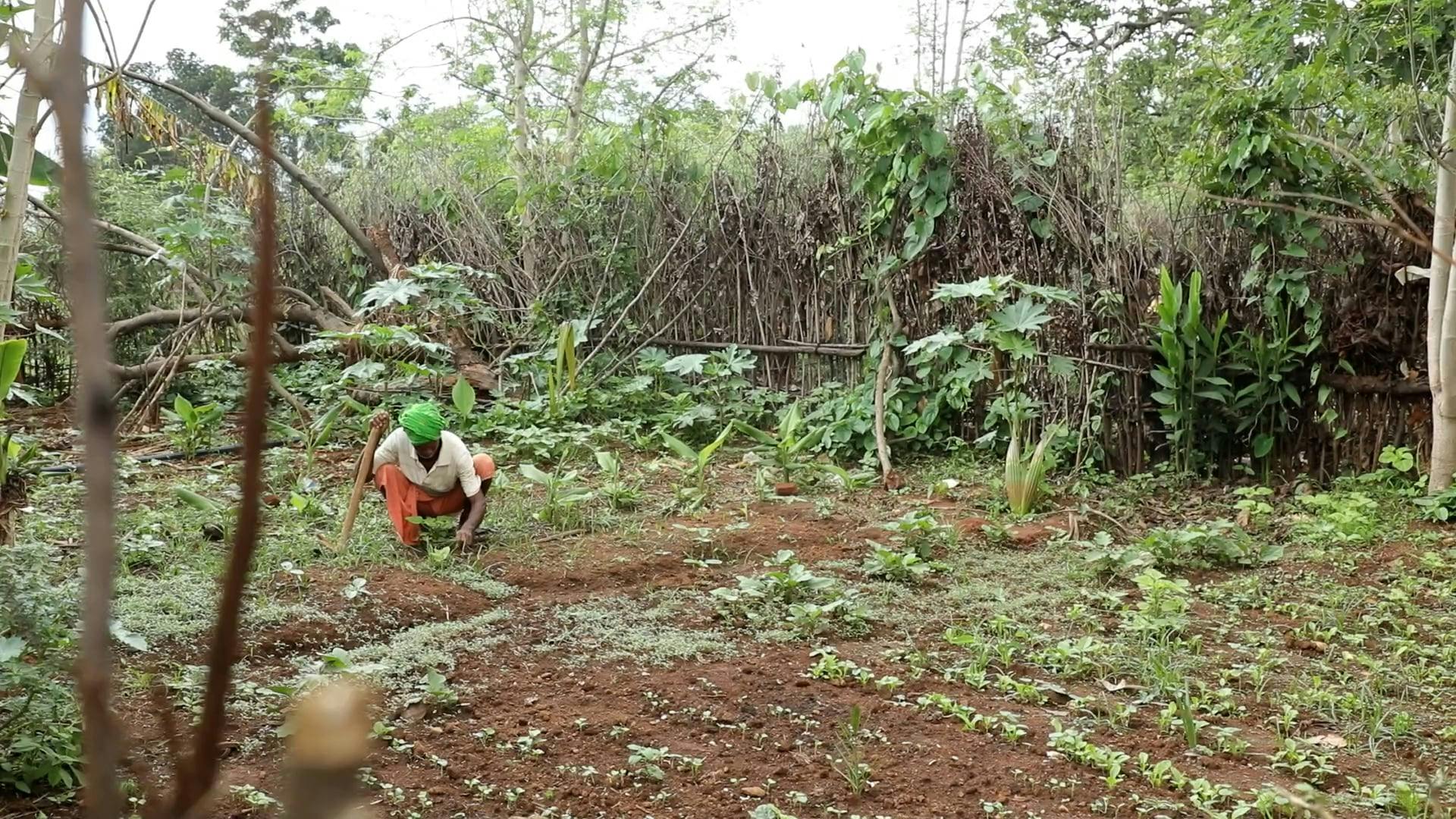 Productive Life Videos, Download The BEST Free 4k Stock Video Footage ...