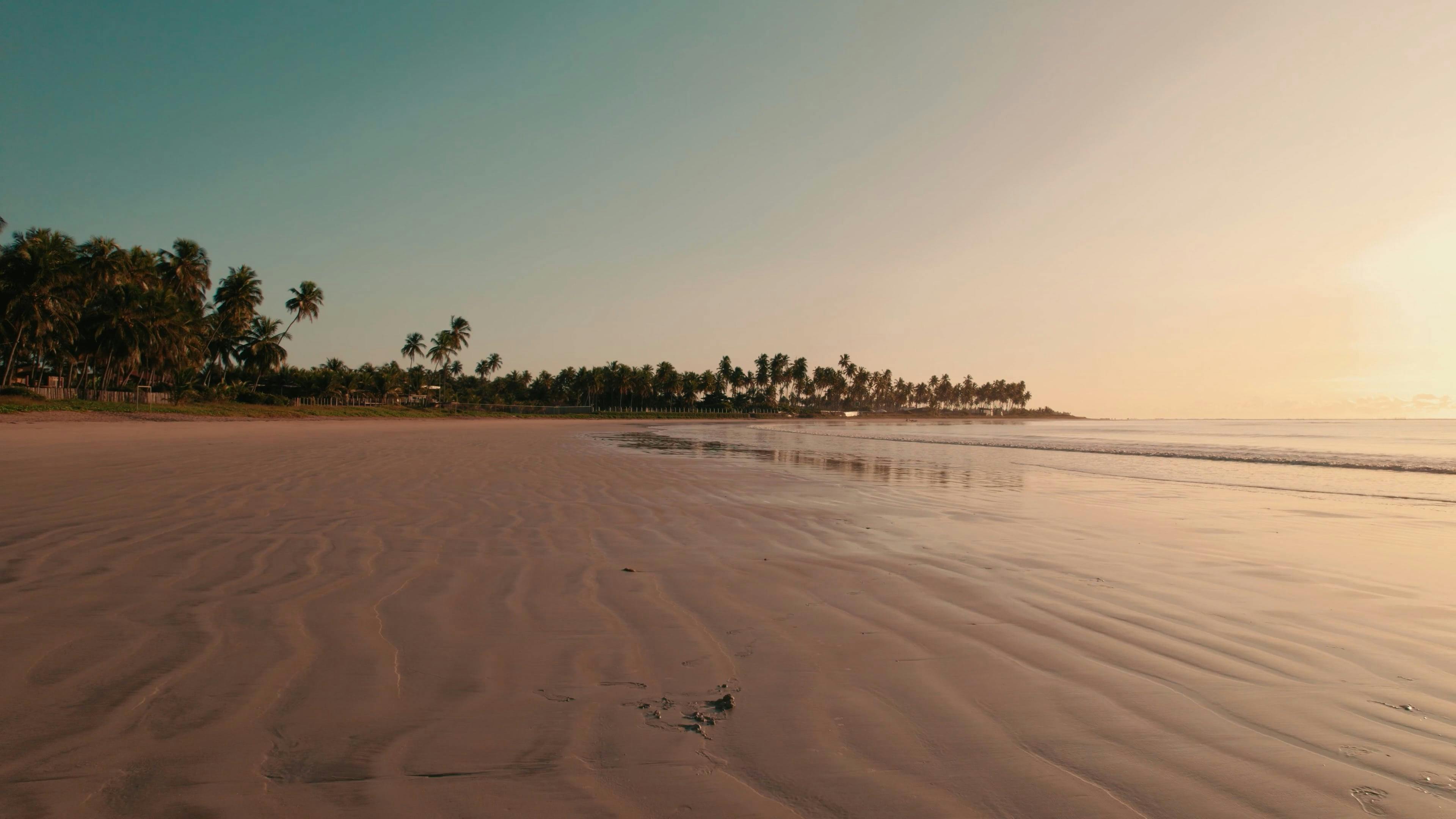 Drone Footage of Ocean Beach Free Stock Video Footage, Royalty-Free 4K ...