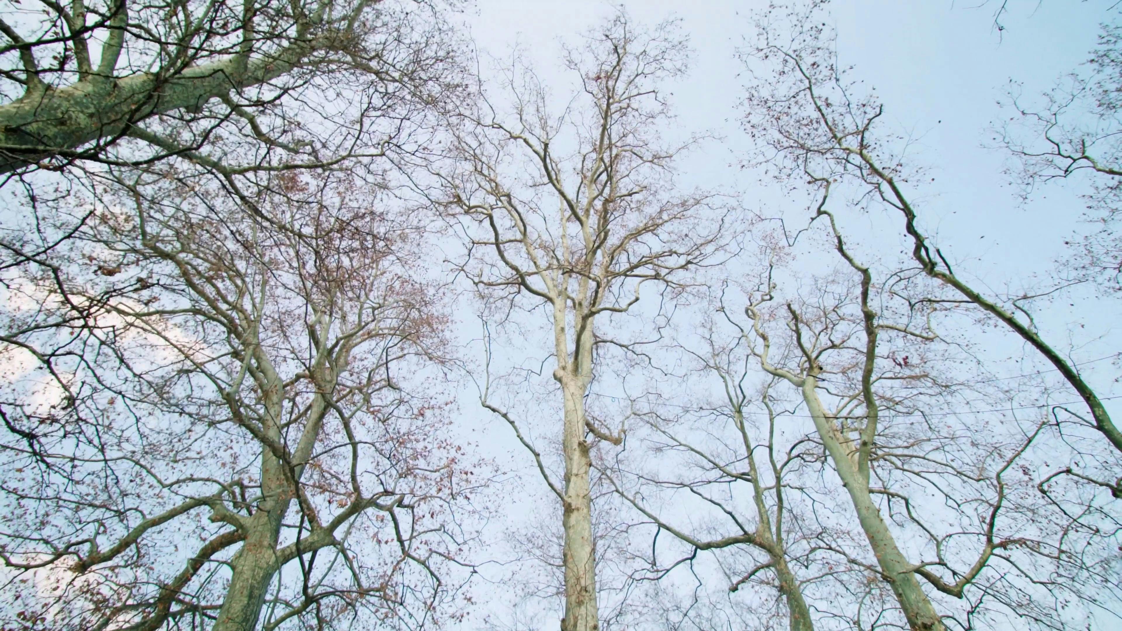 Simple English Videos, Download The BEST Free 4k Stock Video Footage ...