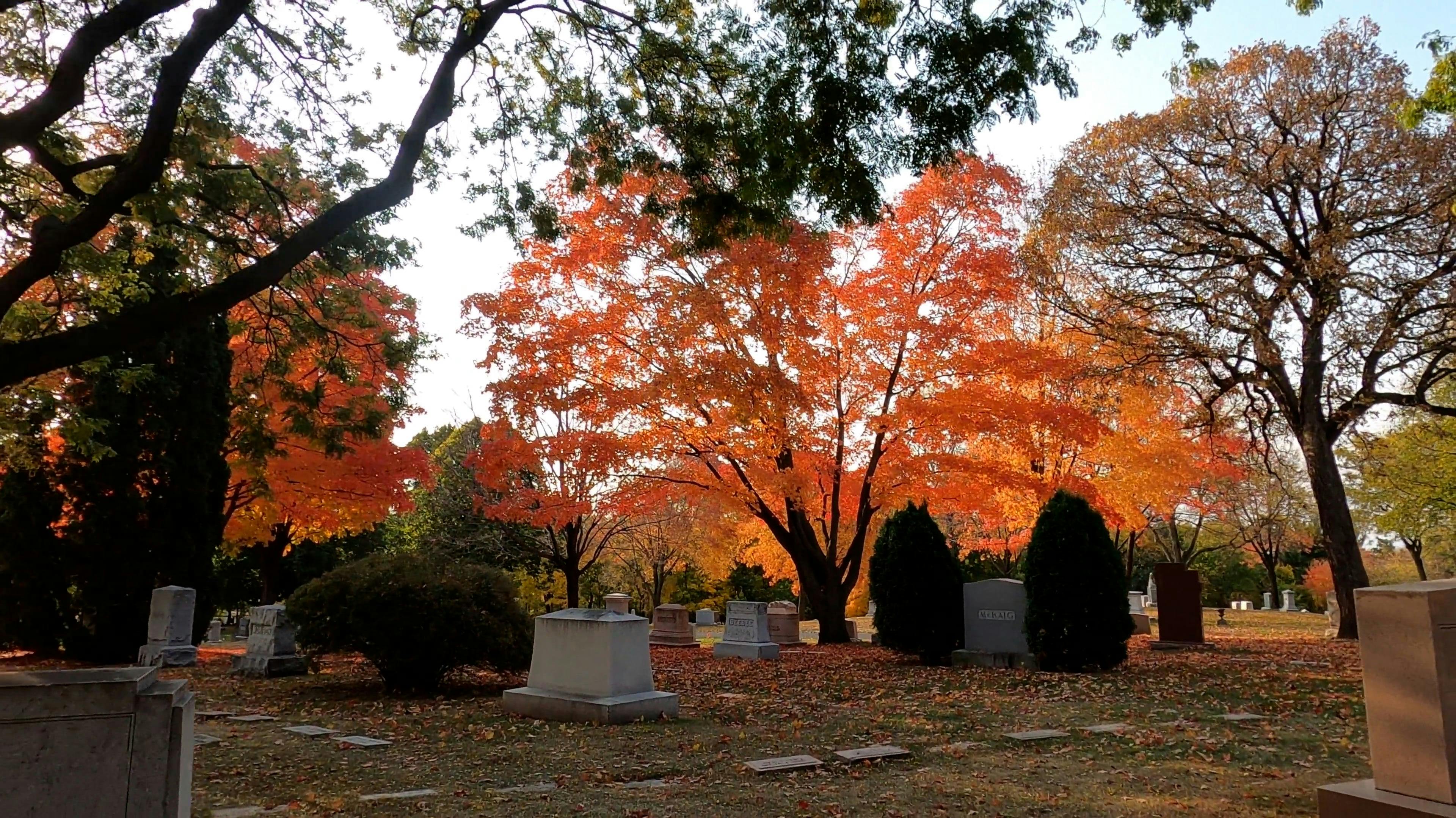 Autumn at Graveyard Free Stock Video Footage, Royalty-Free 4K & HD ...