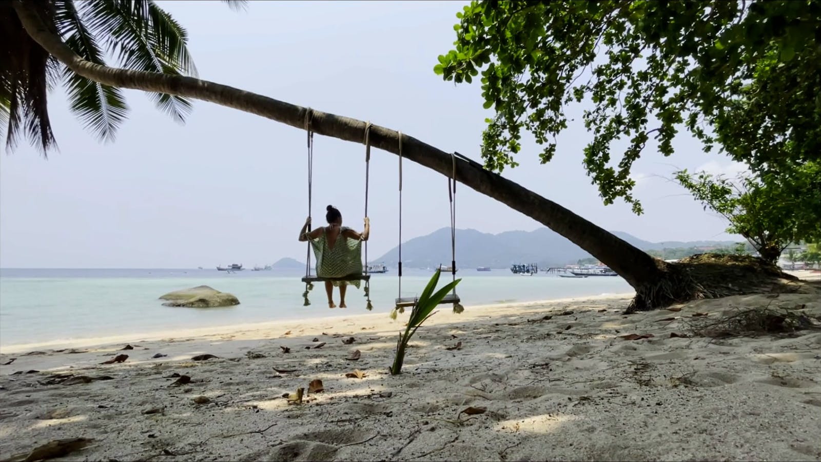 Coconut Swing Videos, Download The BEST Free 4k Stock Video Footage ...