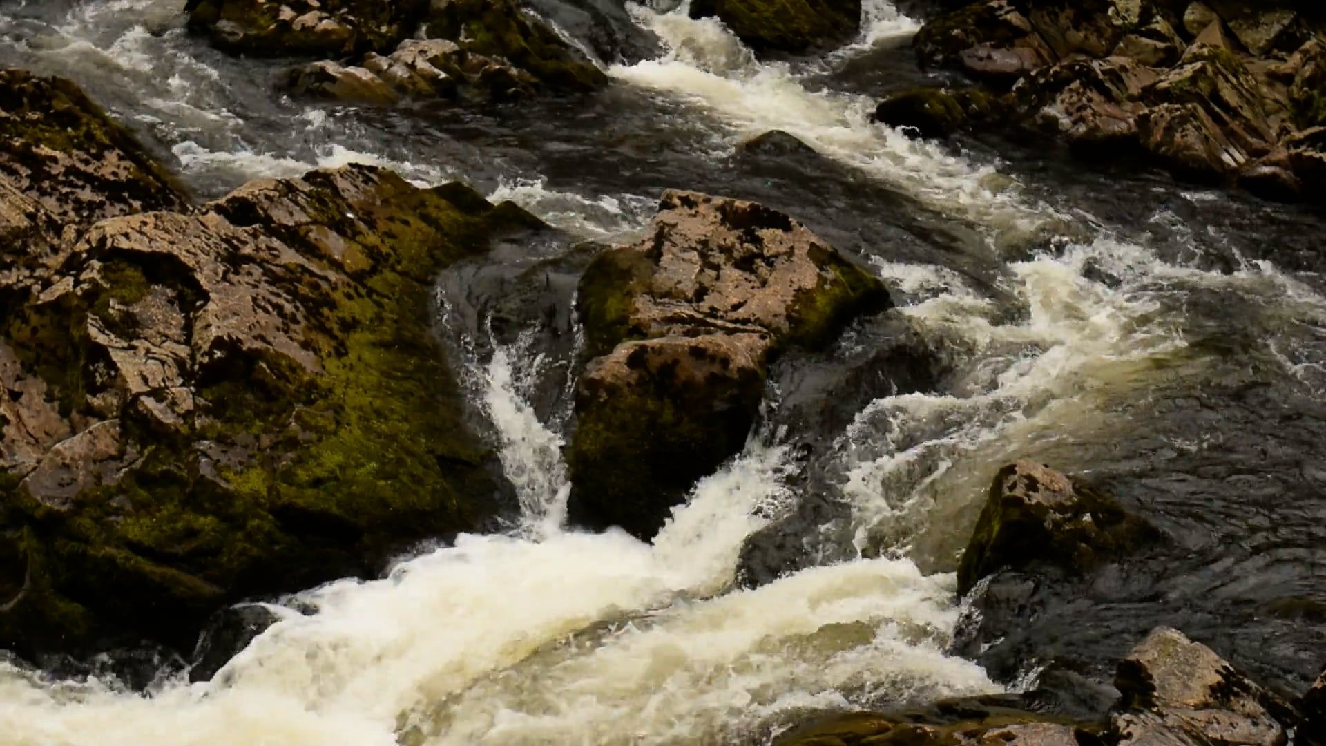 Flowing Water in Stream Free Stock Video Footage, Royalty-Free 4K & HD ...