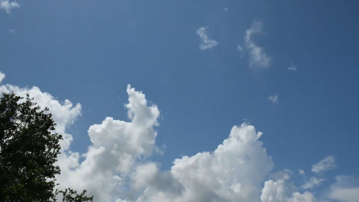 Nature Background Video Videos, Download The BEST Free 4k Stock Video ...