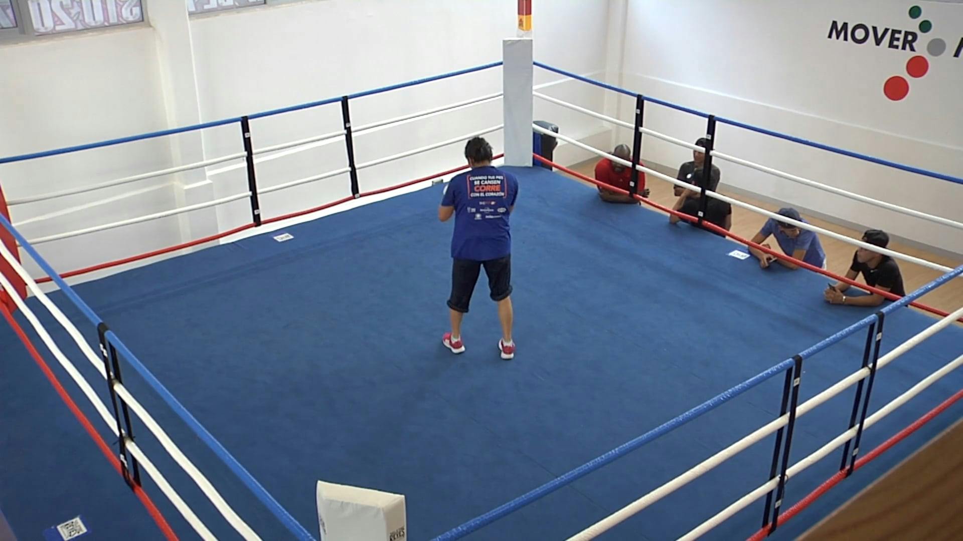 Watching Boxing On Stream Videos, Download The BEST Free 4k Stock Video ...