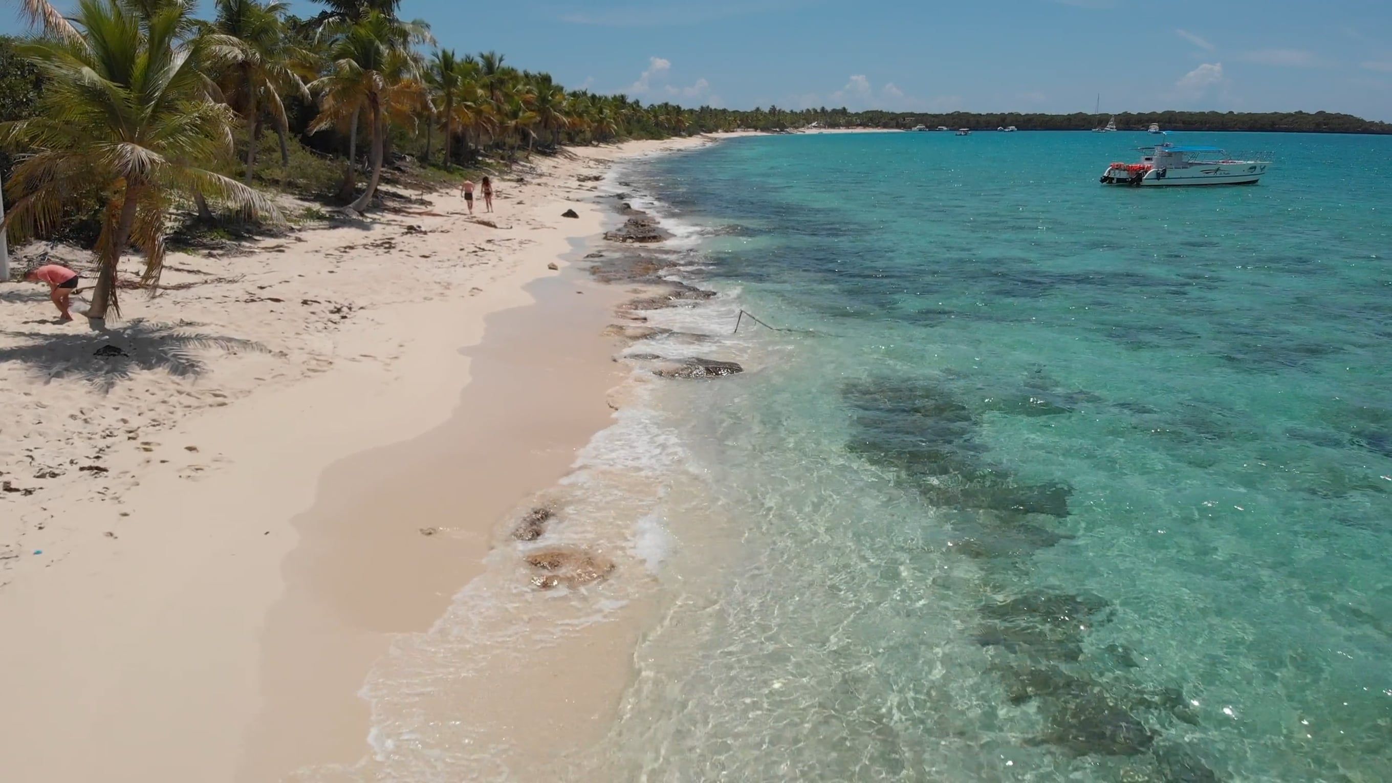 Drone Footage of a Beach in the Caribbean Free Stock Video Footage ...