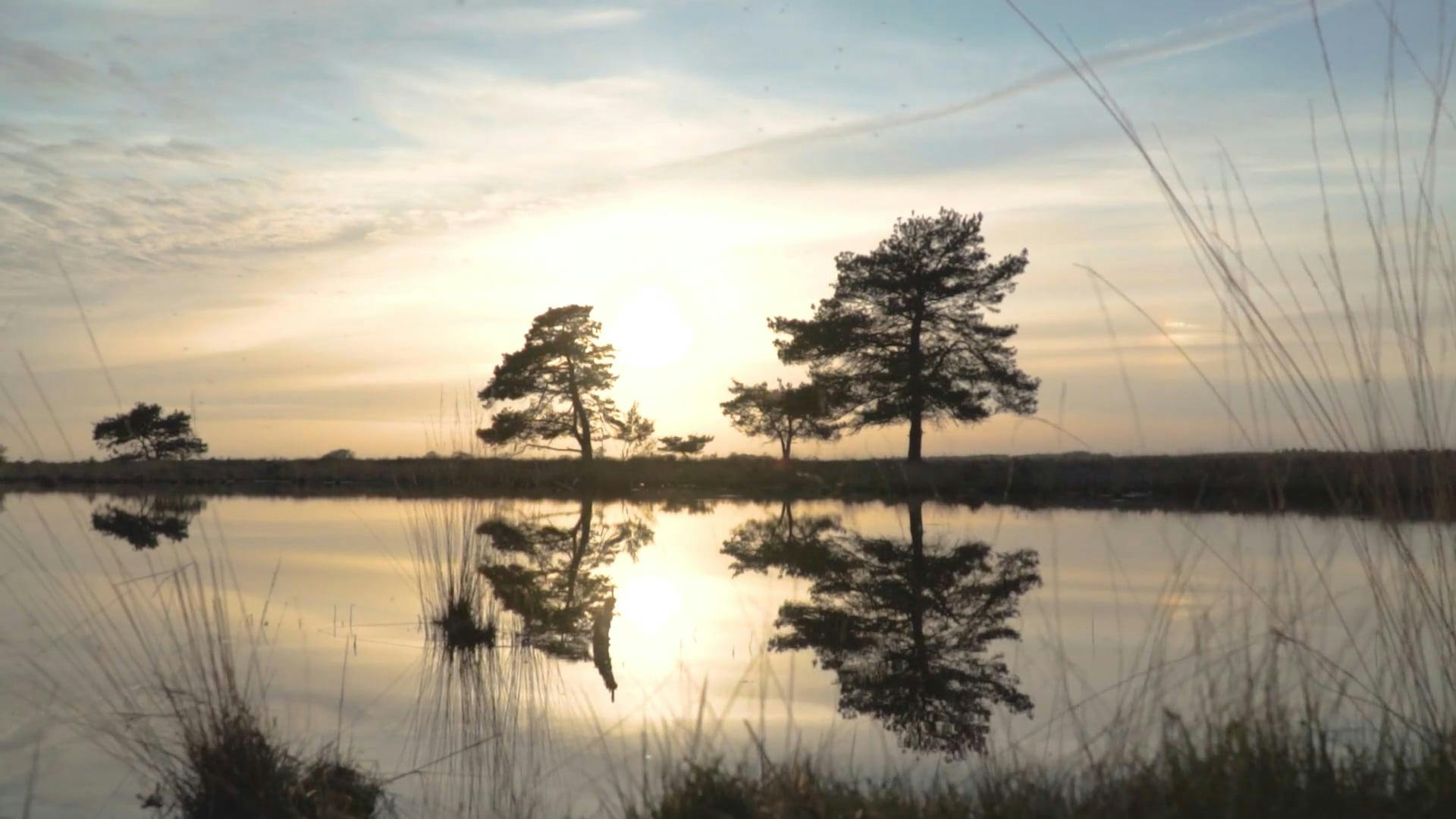 Beautiful Time Lapse Of Sunset Free Stock Video Footage, Royalty-Free ...