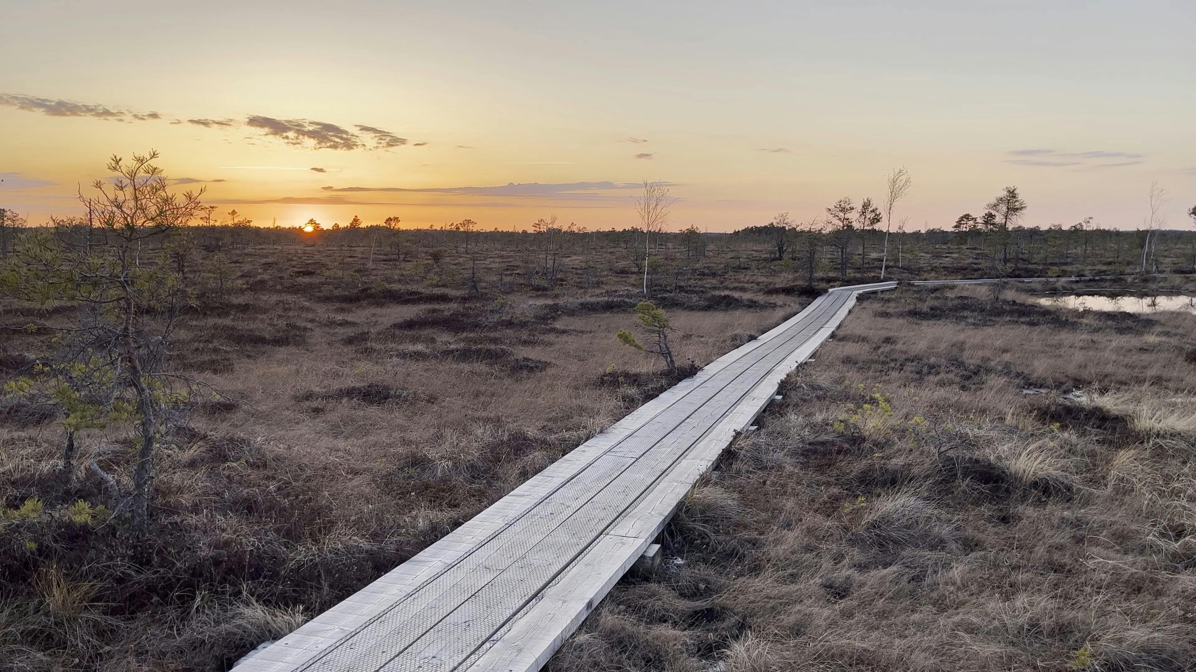 Man in Swamp Walking on Planks Free Stock Video Footage, Royalty-Free ...