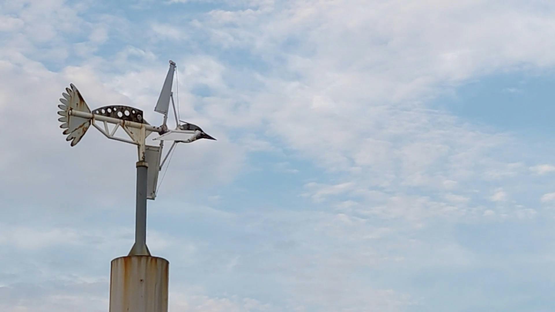 Weather Gauge Videos, Download The BEST Free 4k Stock Video Footage ...