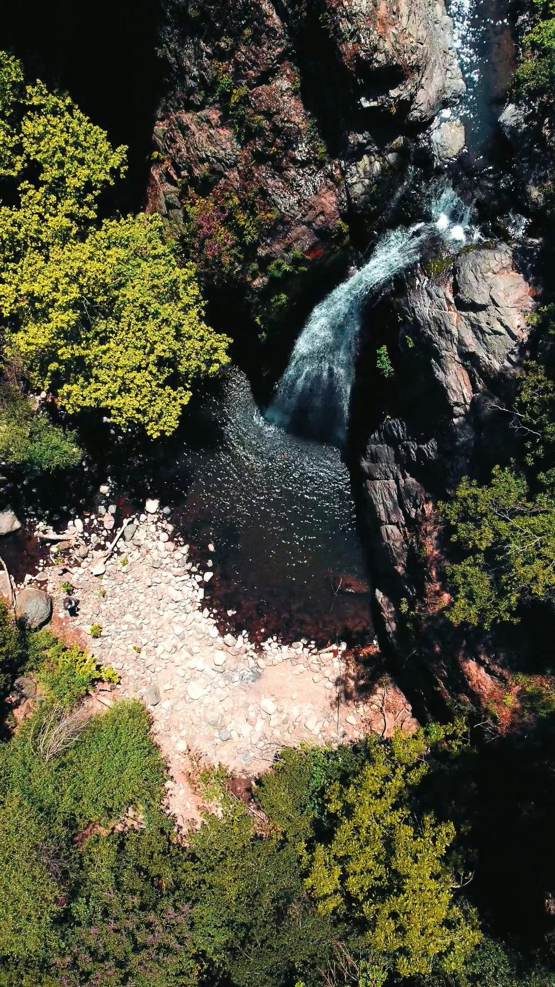 Drone Footage of Forest Creek Free Stock Video Footage, Royalty-Free 4K ...