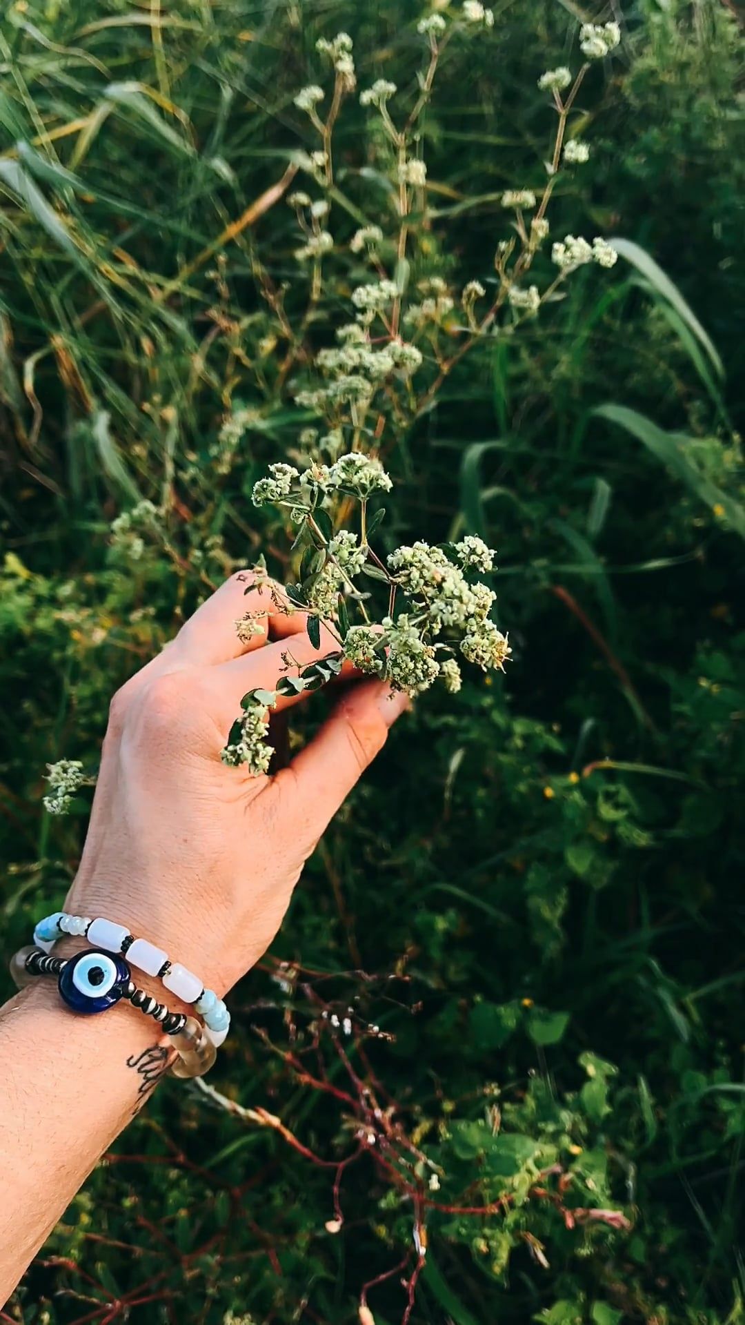 Person Crushing a Flowers and Leaves on the Motar Free Stock Video ...