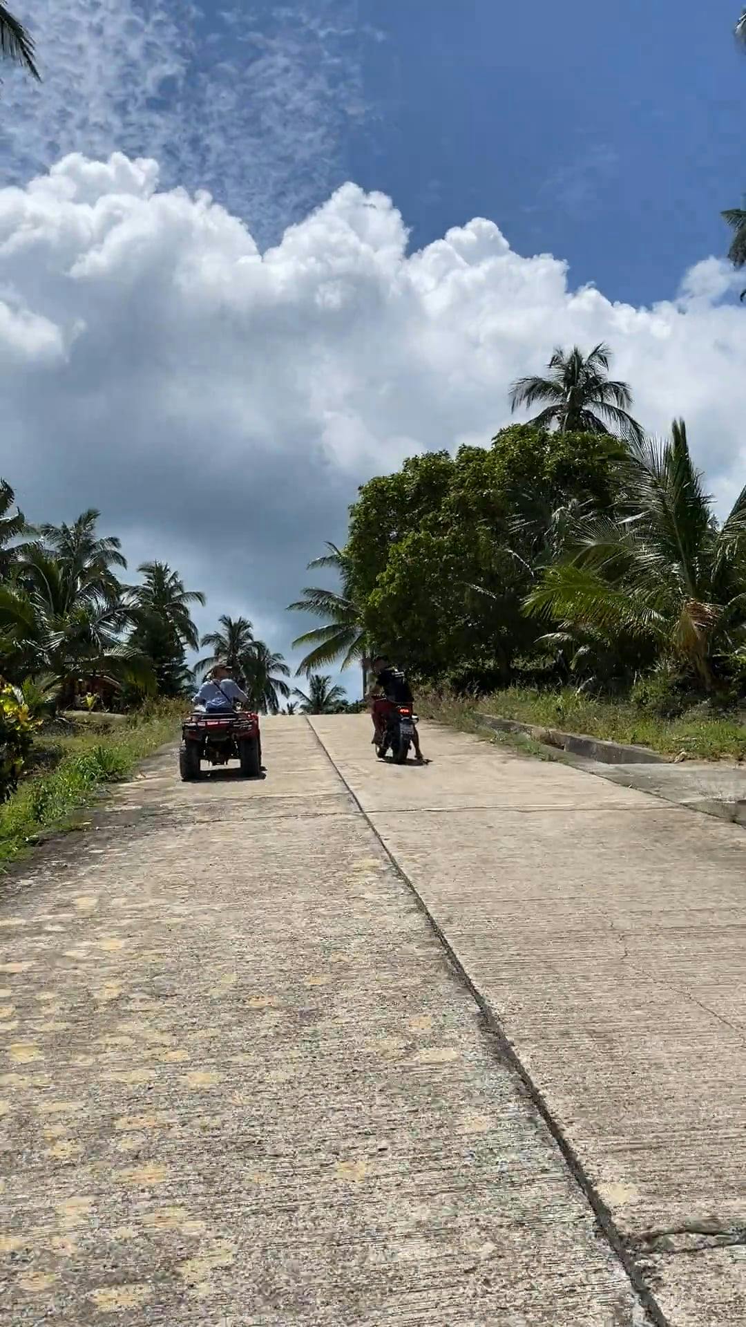 People Riding Four Wheelers on a Tropical Island Road Free Stock Video ...