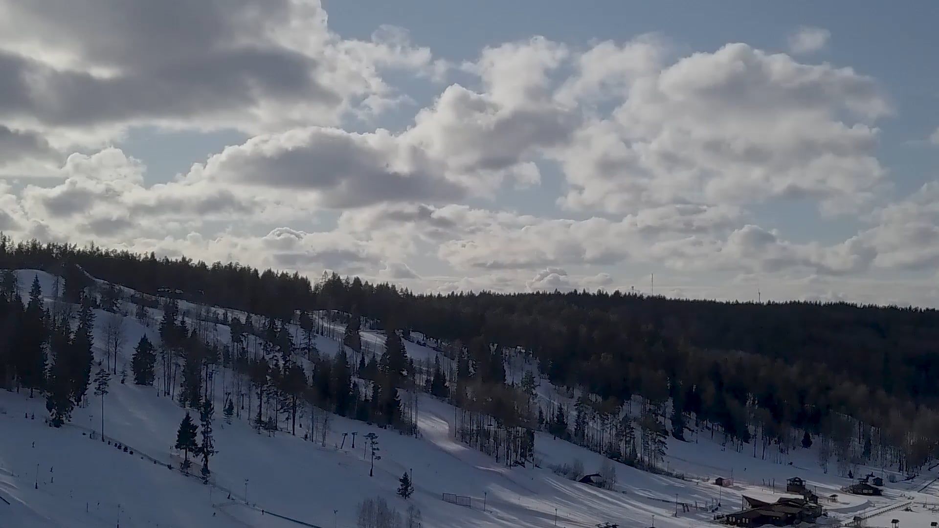 Forest on Mountainside in Winter Free Stock Video Footage, Royalty-Free ...