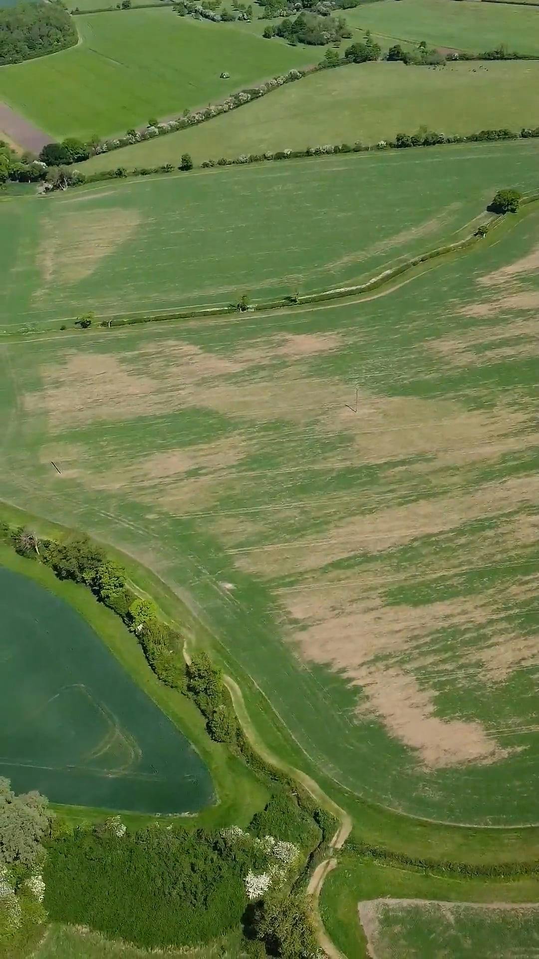 Birds Eye View of Green Plains Free Stock Video Footage, Royalty-Free ...