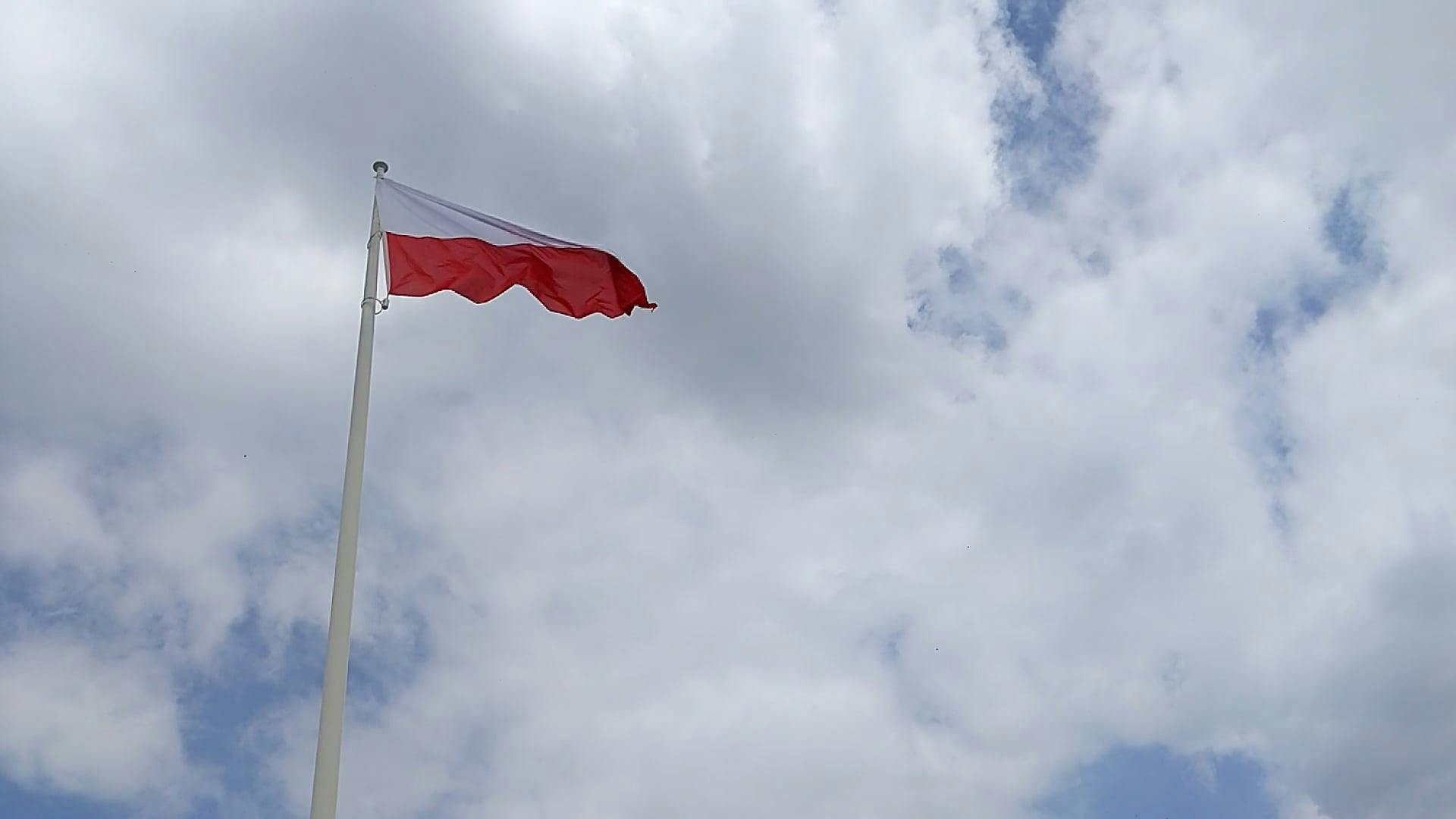 The National Flag of Poland Waving on a Pole Free Stock Video Footage ...