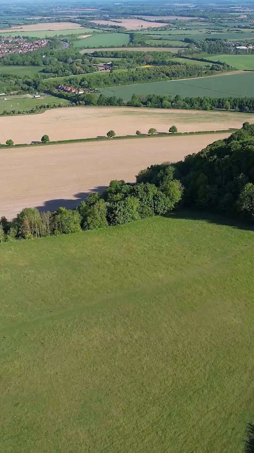 Trees over Plains Free Stock Video Footage, Royalty-Free 4K & HD Video Clip