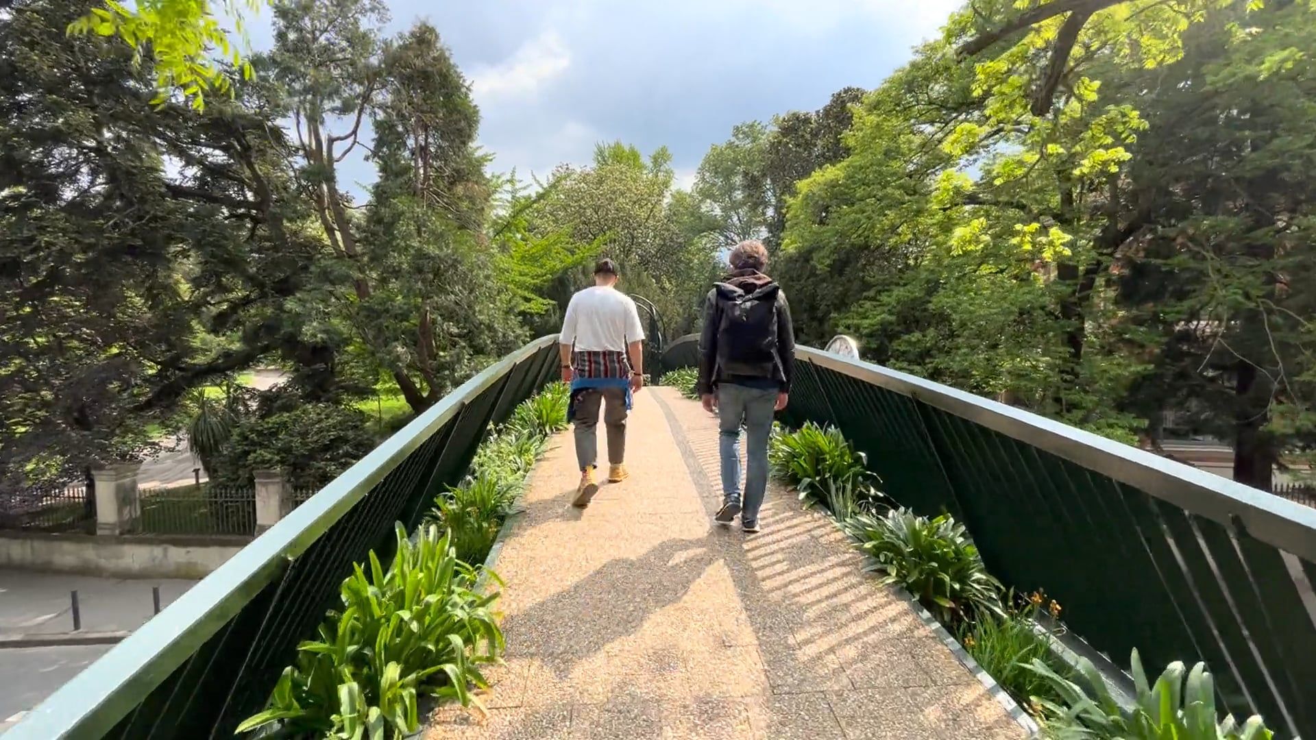 Back View of Two Young Men Crossing a Bridge in a Park Free Stock Video ...