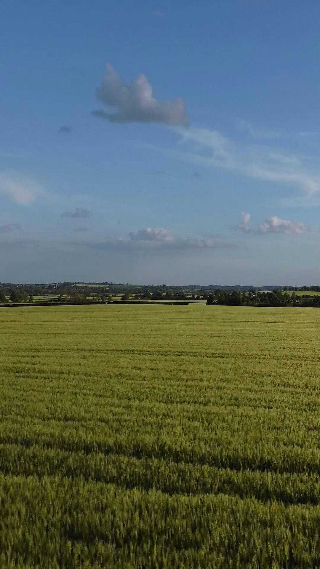 Green Rural Plains Free Stock Video Footage, Royalty-Free 4K & HD Video ...