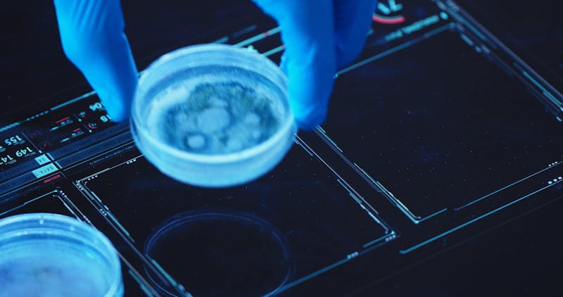 Science Experiment Videos, Download The BEST Free 4k Stock Video ...